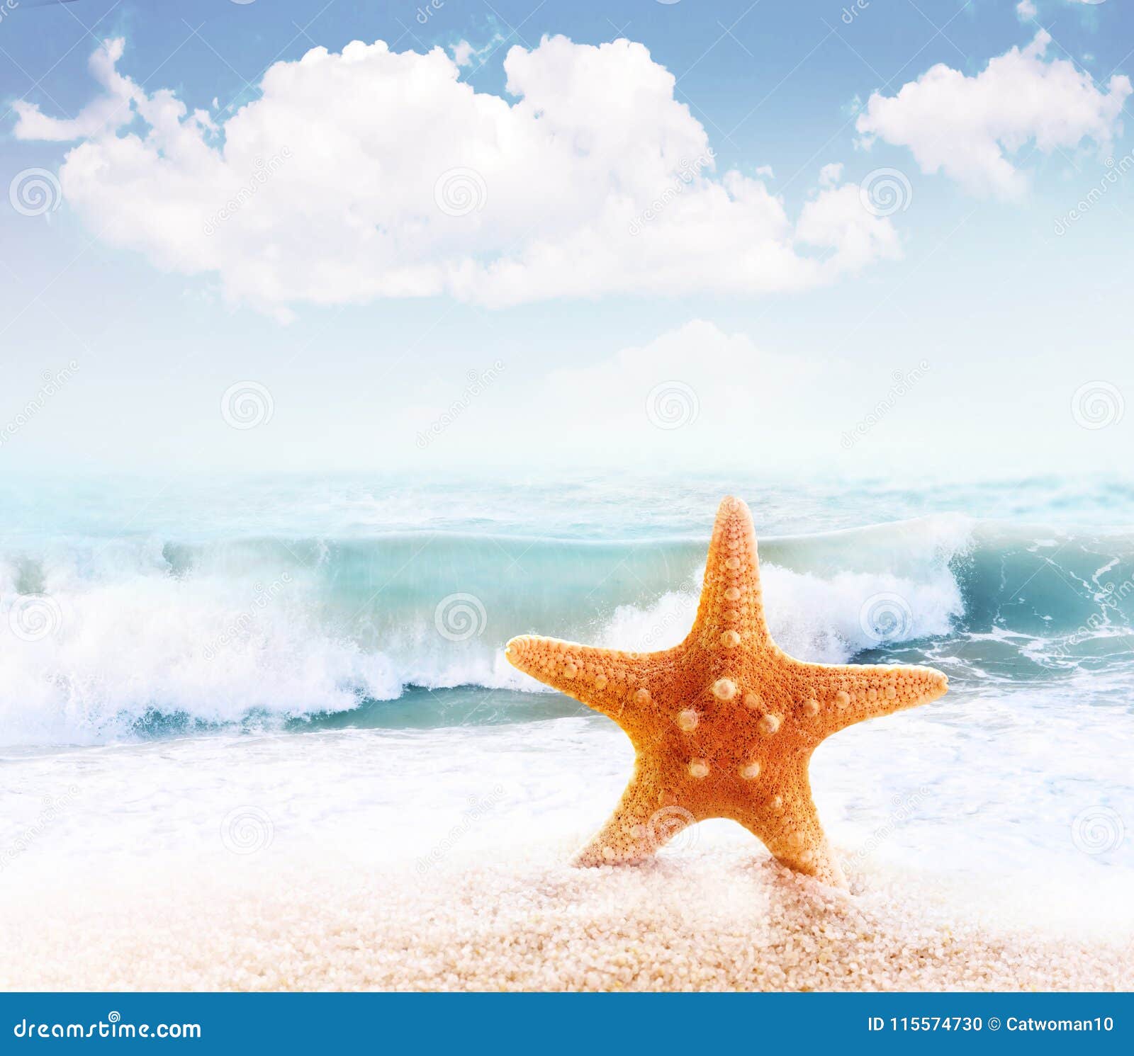 Starfish on sandy beach stock photo. Image of clouds - 115574730