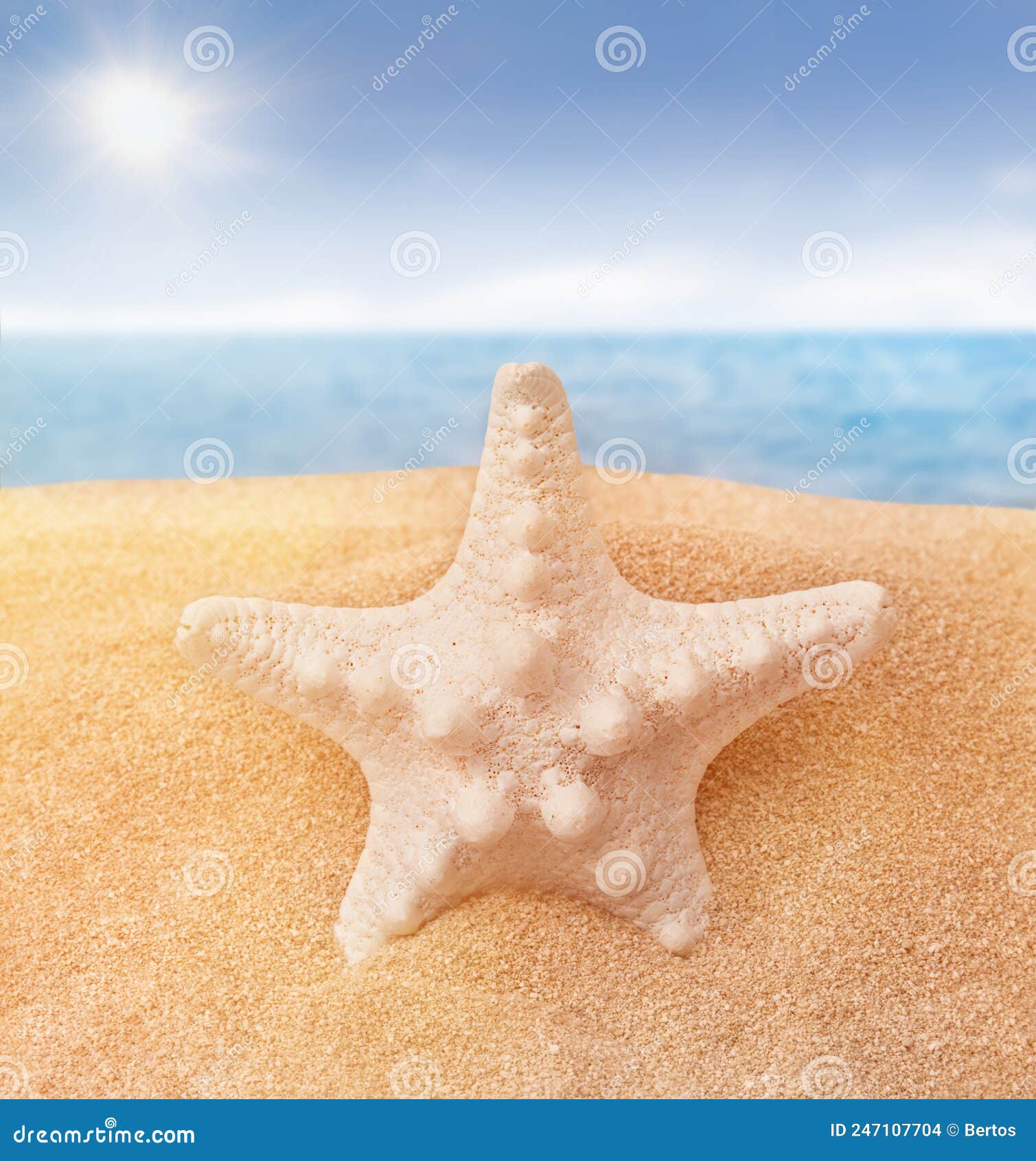 Starfish in the Sandy Beach Stock Photo - Image of relaxation ...