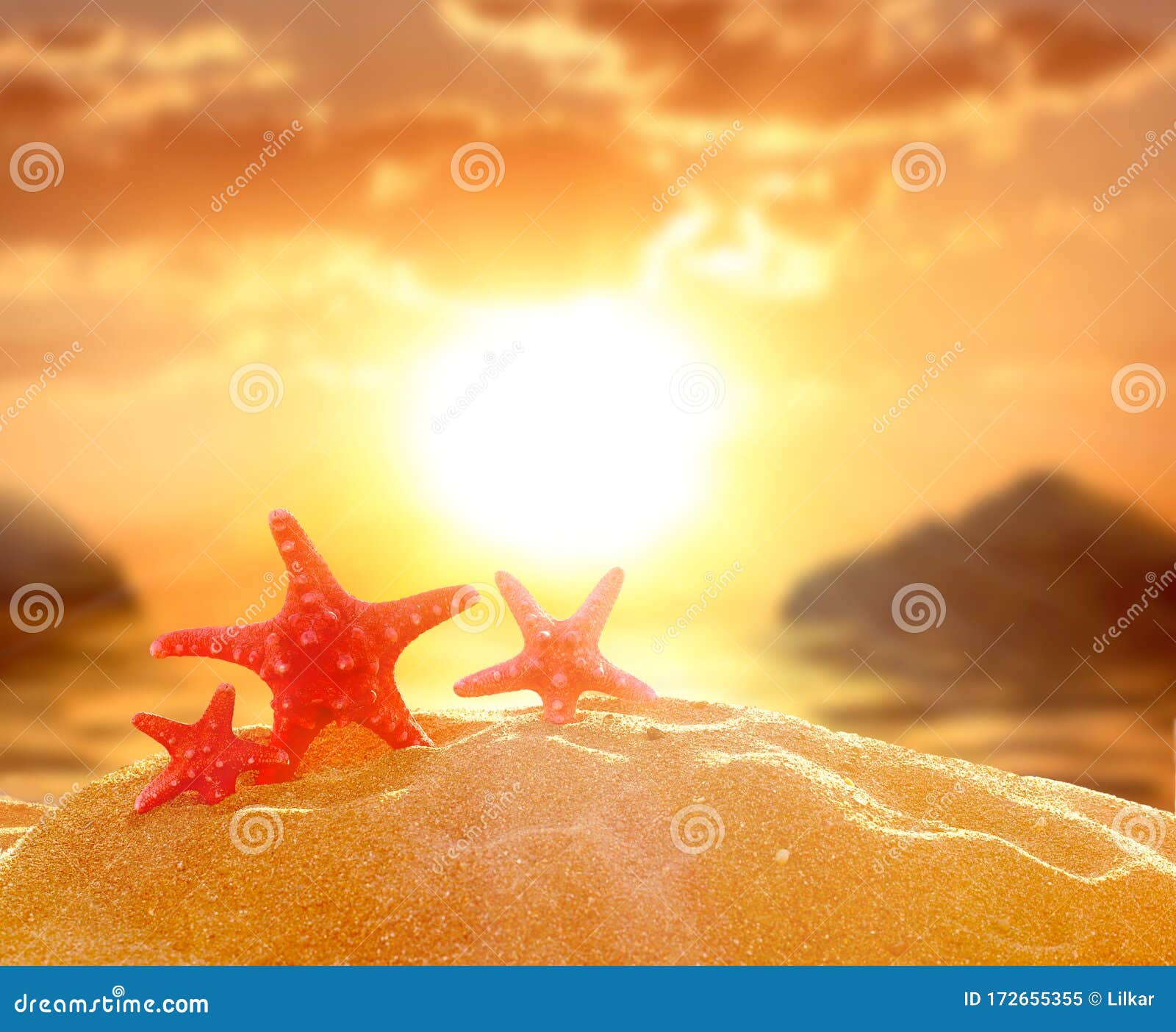 Starfish on a Sandy Tropical Beach. Sea Sunset Stock Image - Image of ...