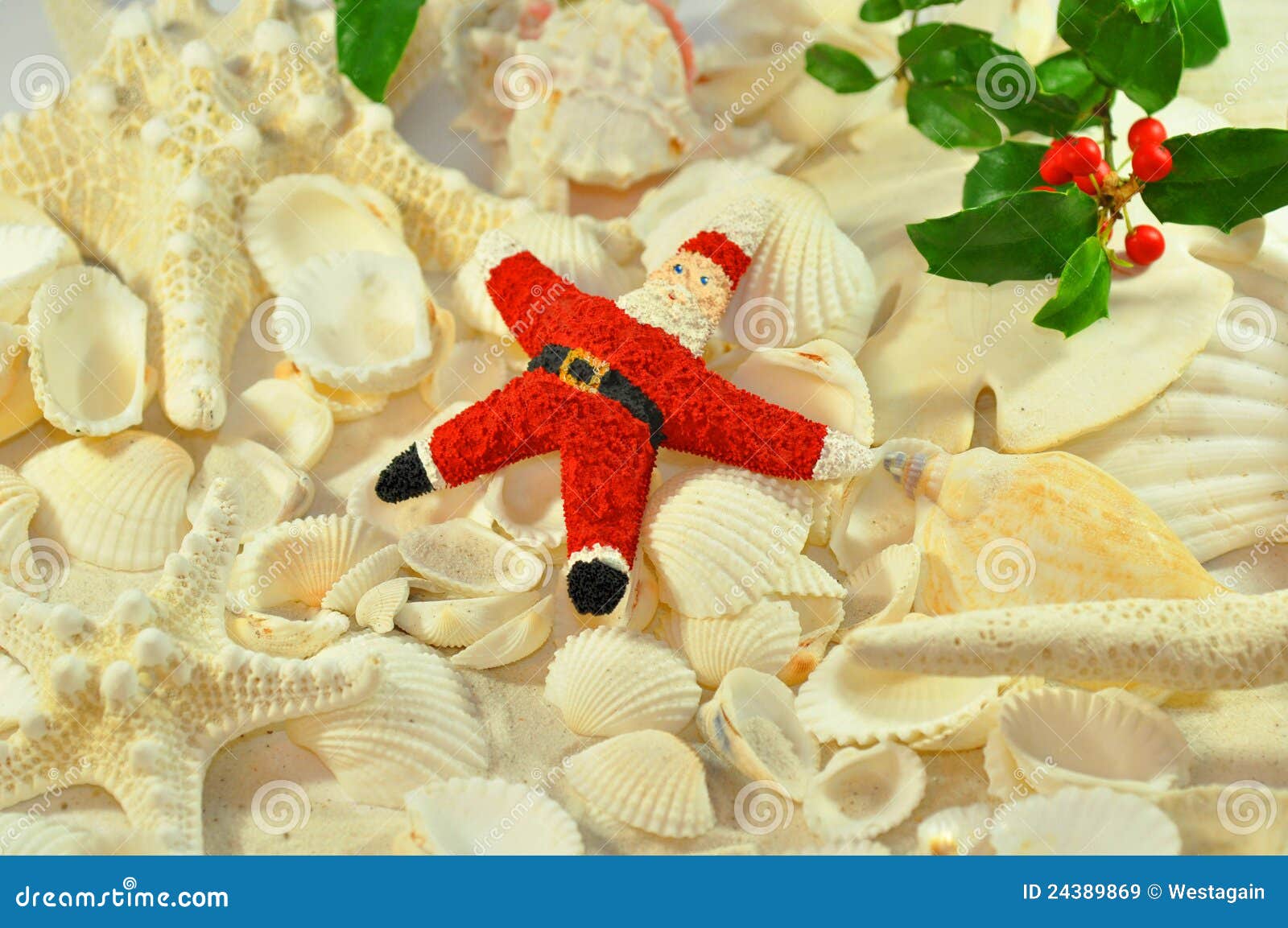 Starfish santa stock image. Image of holiday, starfish - 24389869
