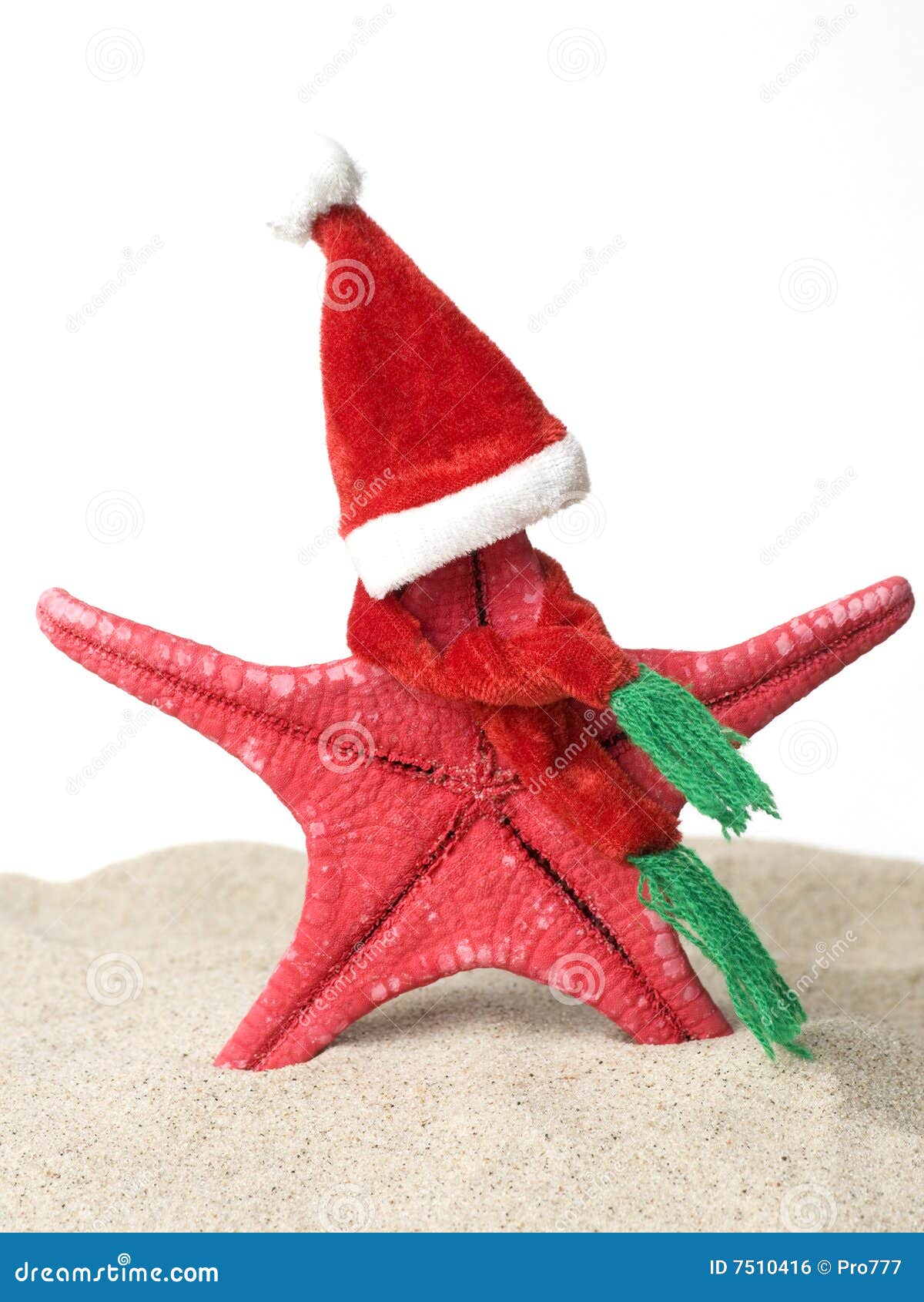 Starfish Santa Claus stock photo. Image of humorous, pompom - 7510416