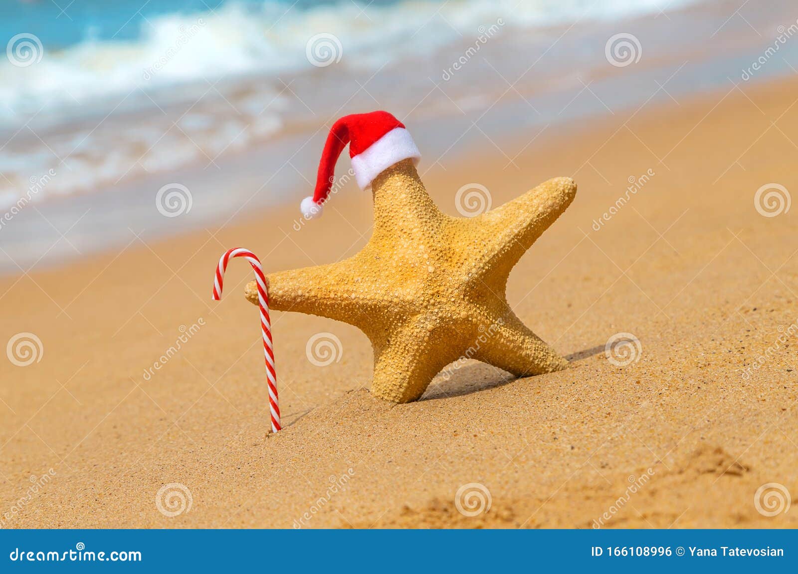 Starfish Santa Claus on the Beach. Selective Focus Stock Photo - Image ...