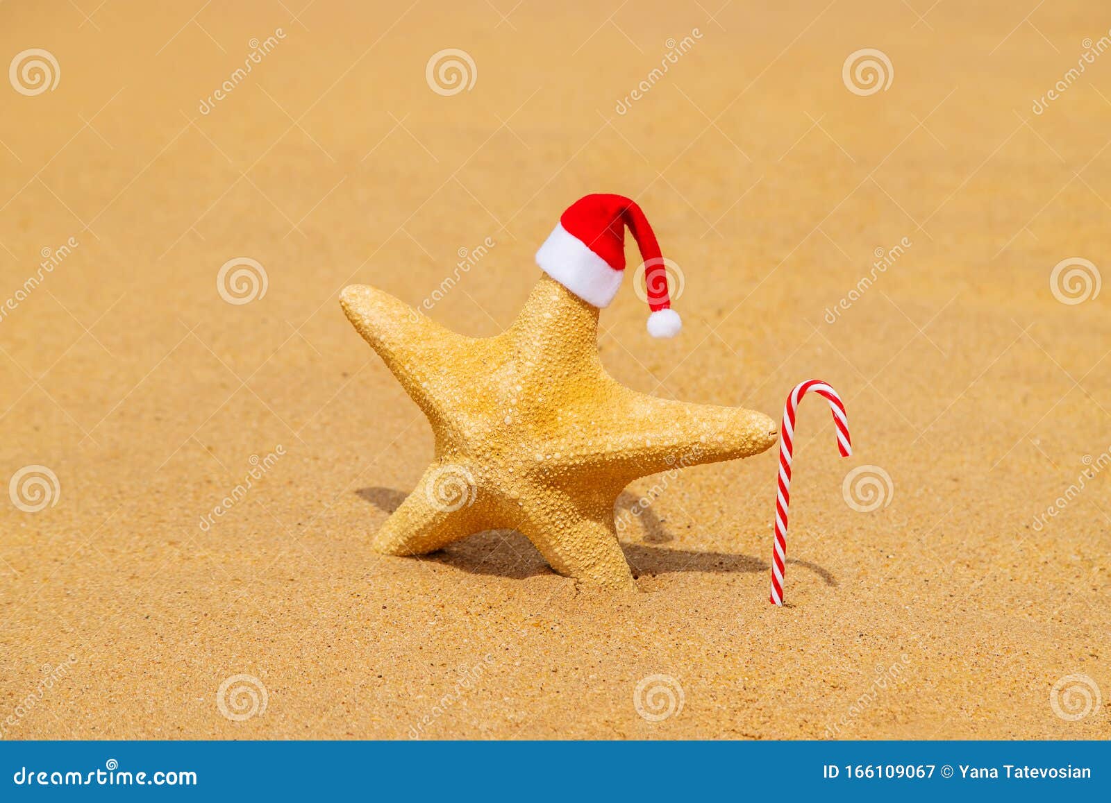 Starfish Santa Claus on the Beach. Selective Focus Stock Image - Image ...