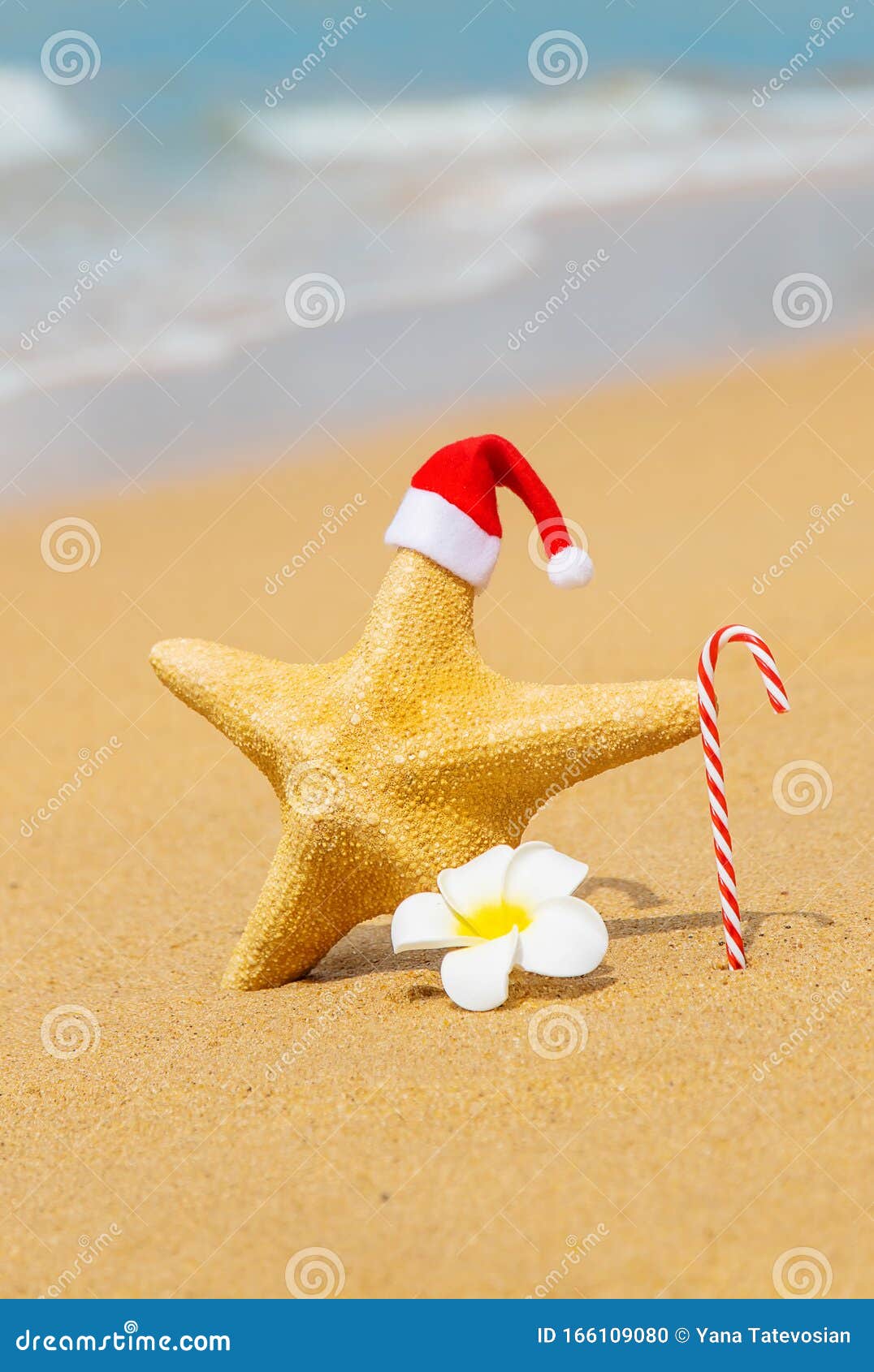 Starfish Santa Claus on the Beach. Selective Focus Stock Photo - Image ...