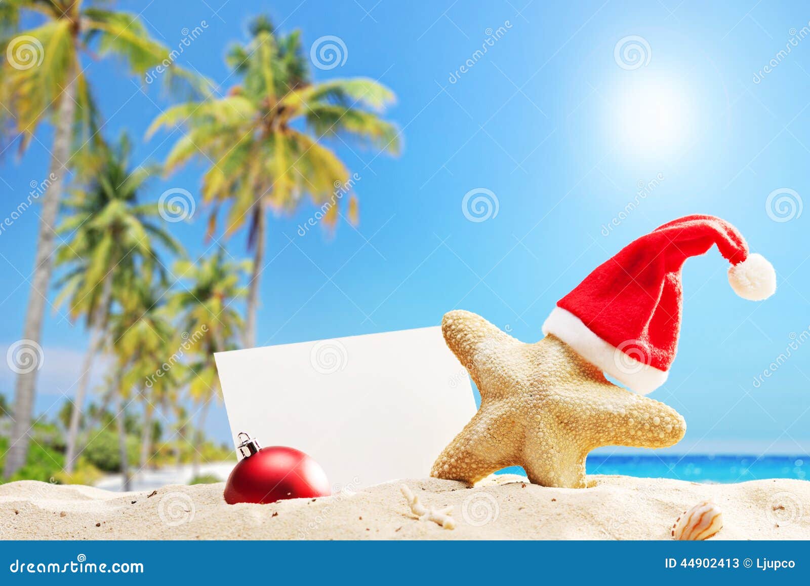 Starfish with Santa Hat and Banner on a Beach Stock Image - Image of ...