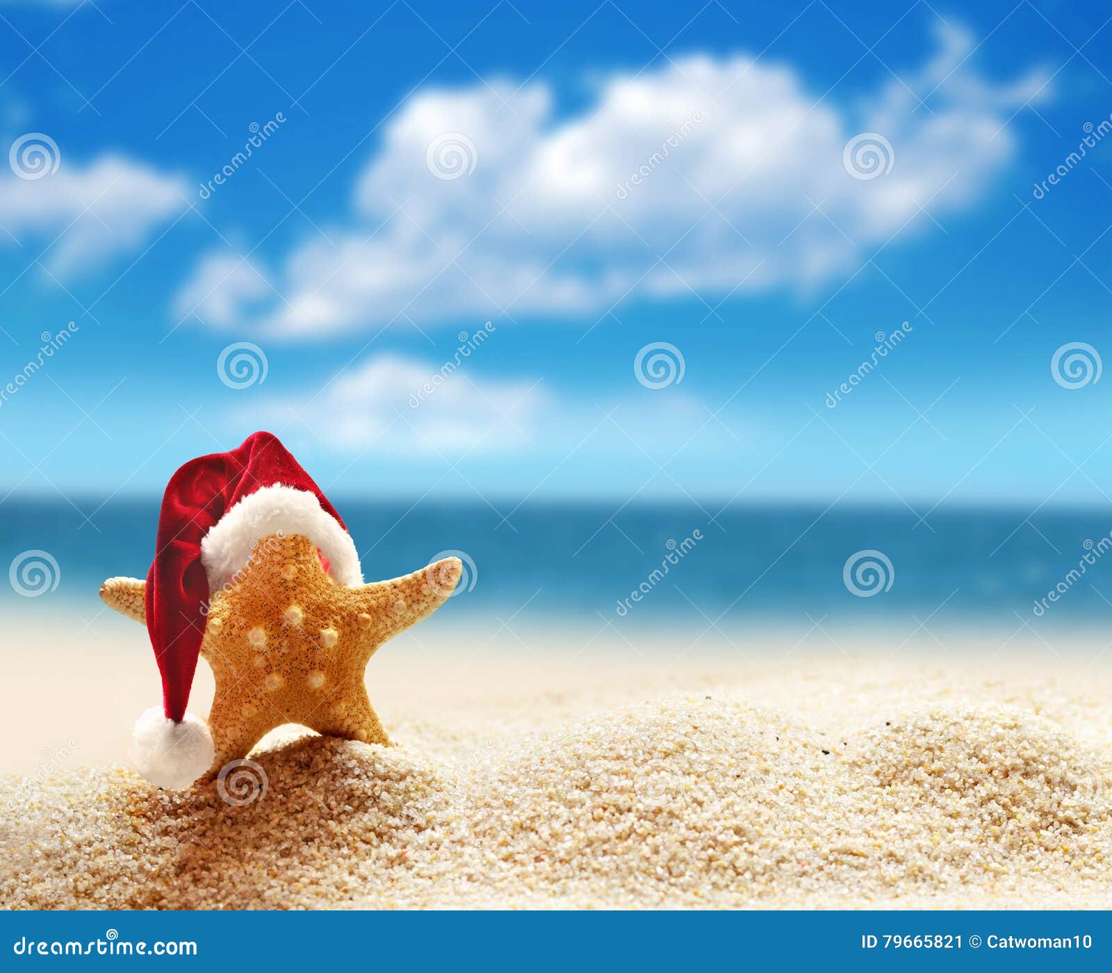 Starfish in Santa Hat at the Seaside Stock Image - Image of leisure ...