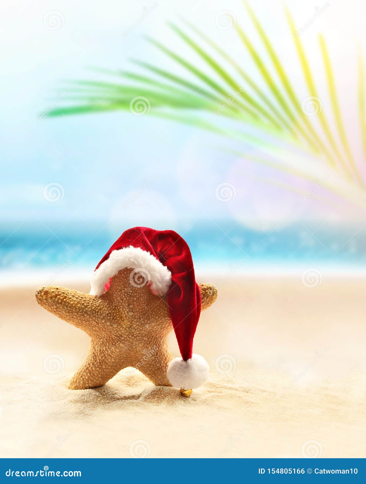 Starfish in Santa Hat on the Summer Beach. Christmas Concept Stock ...