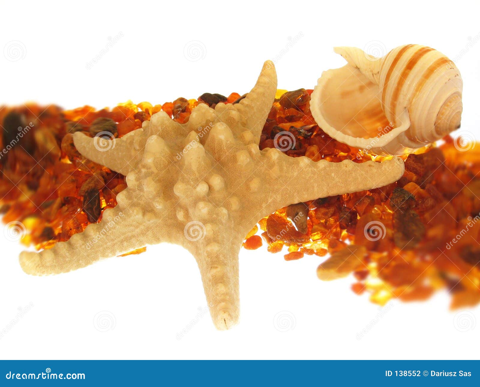 Starfish & Sea Shell stock photo. Image of beach, large - 138552