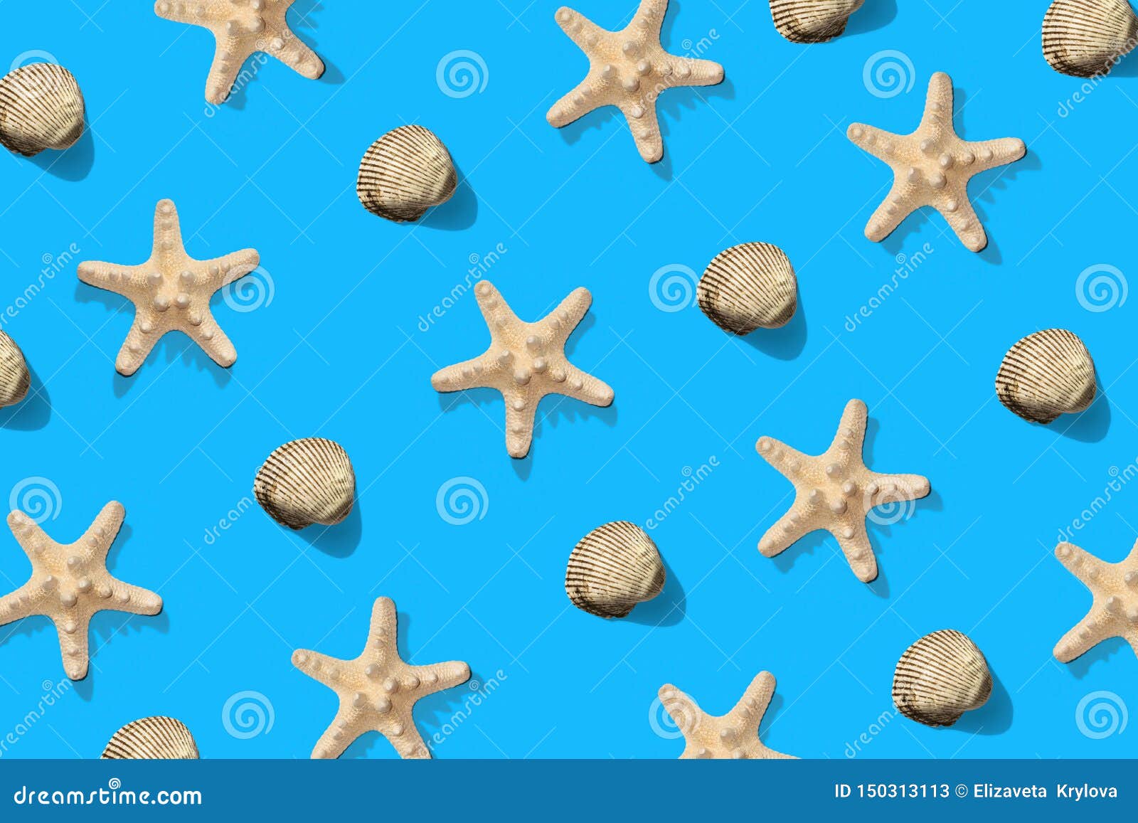 Starfish and Sea Shell Pattern on Blue. Summer Minimalistic Background ...