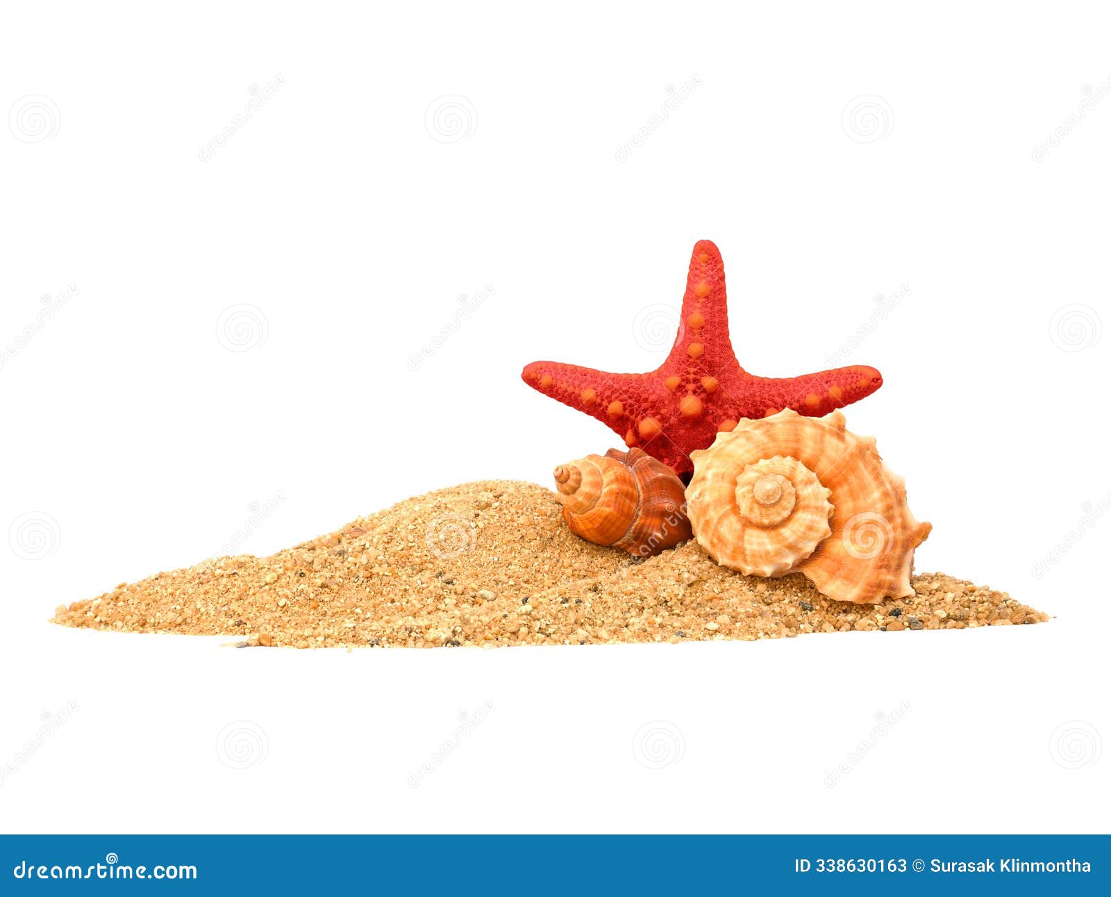 Starfish and Sea Shell in Sand Pile Isolated on White Background, Side ...