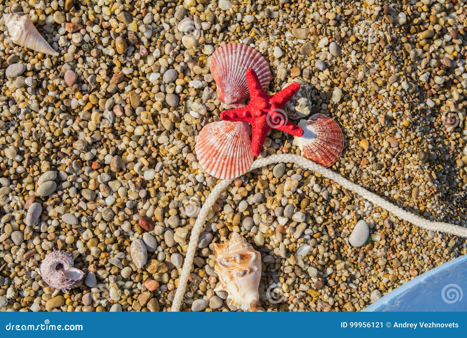 Starfish and Sea Shells, White Rope, Lie on Multi-colored Pebble Stock ...