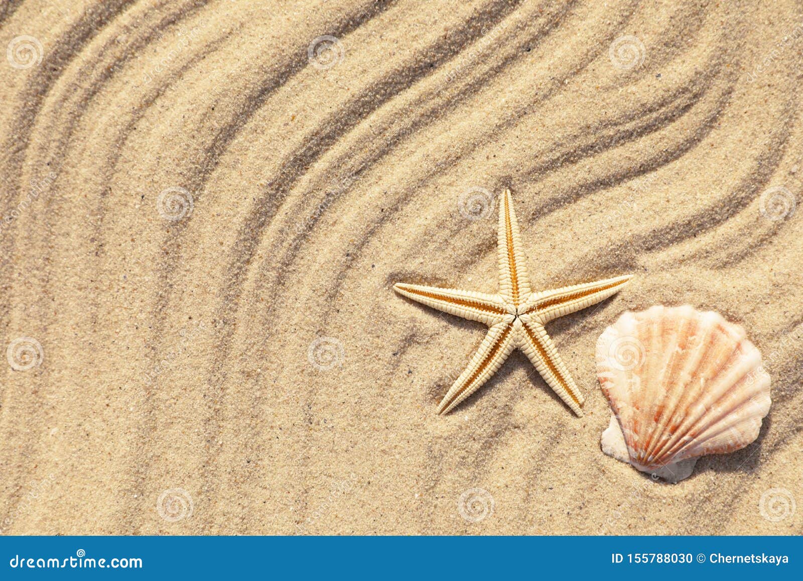 Starfish and Seashell on Beach Sand with Wave , Top View. Space for ...