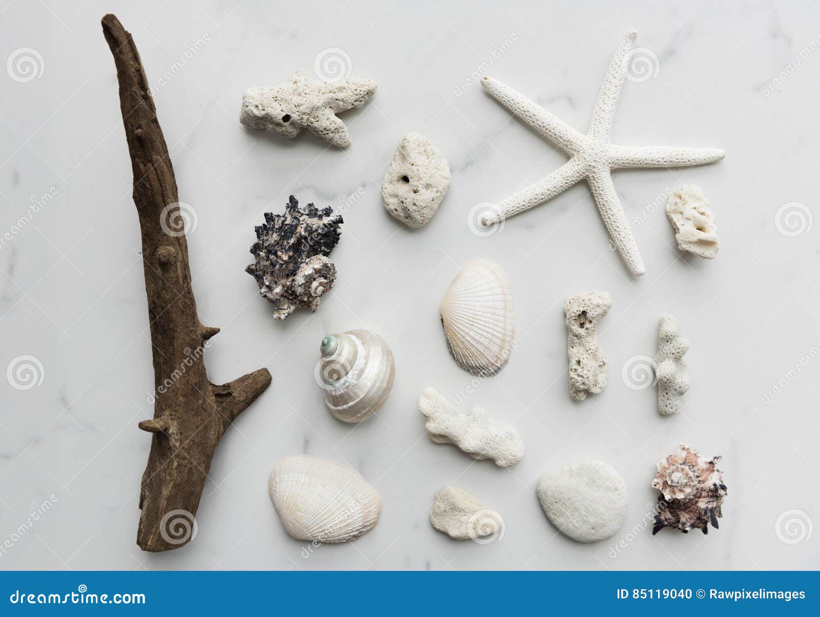Starfish Seashell Summer Holiday Vacation Beach Concept Stock Photo ...