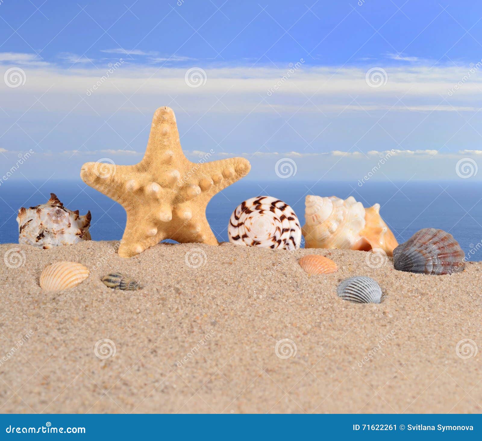 Starfish and Seashells on a Beach Sand Stock Image - Image of colored ...
