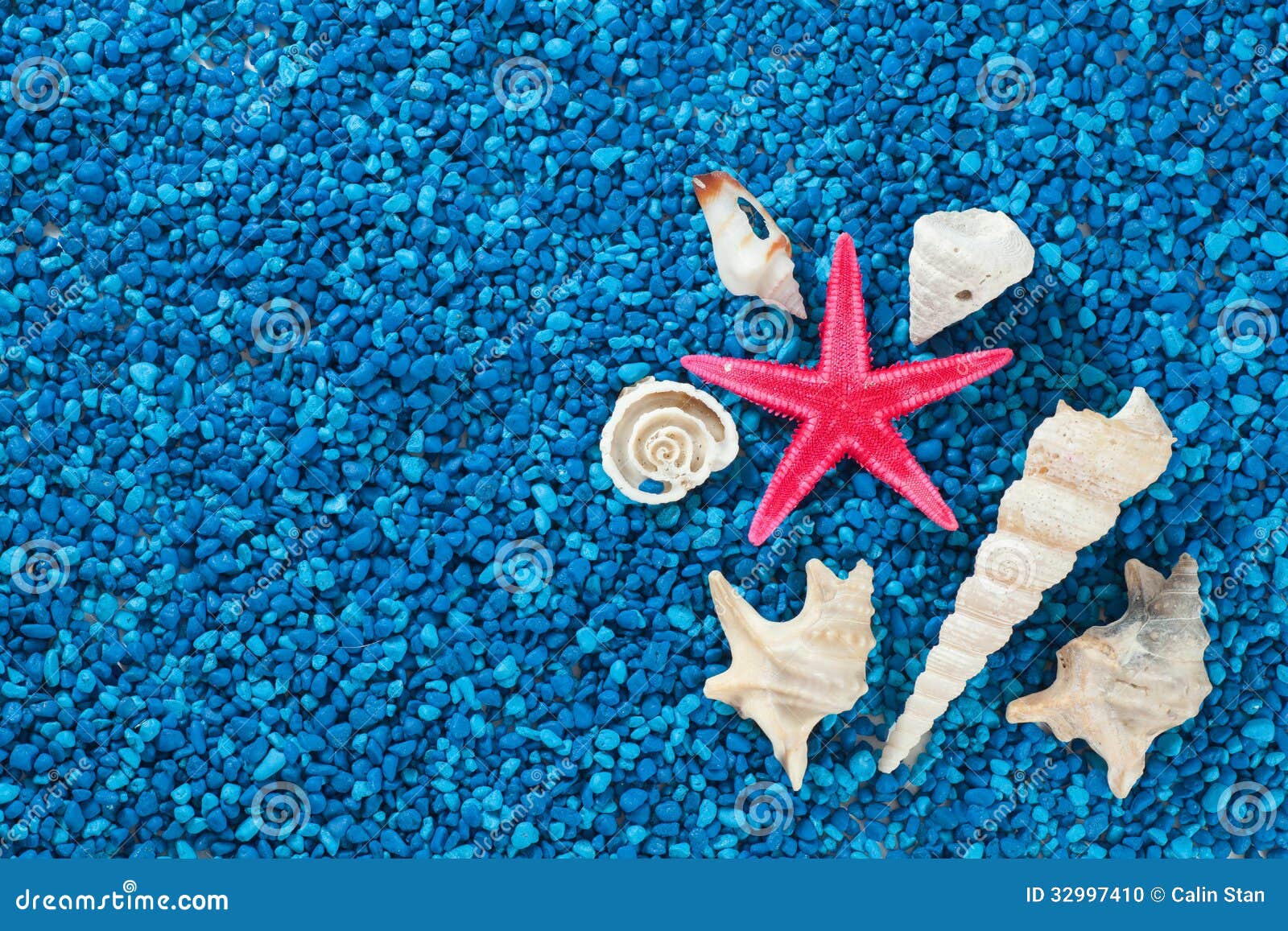 Starfish And Seashells Beautiful Closeup On Blue Background Stock Photo ...
