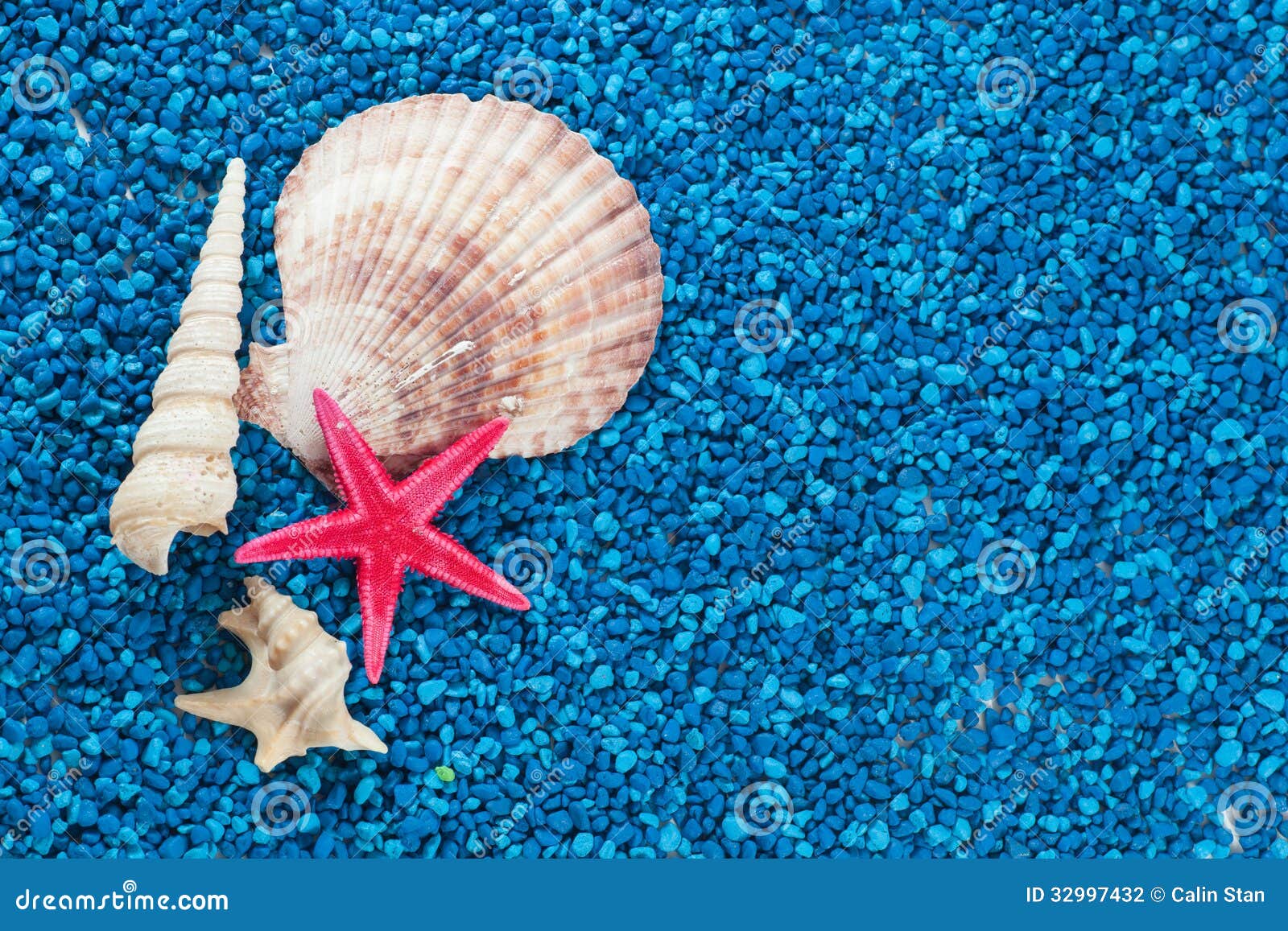 Starfish and Seashells Beautiful Closeup on Blue Background Stock Photo ...