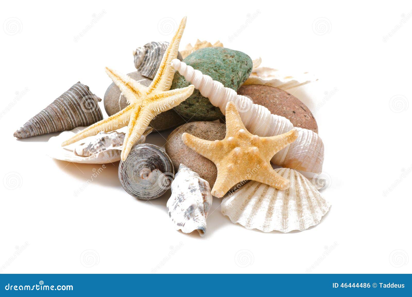 Starfish Seashells In Raffia And Rope Border On Beach Stock Photography ...
