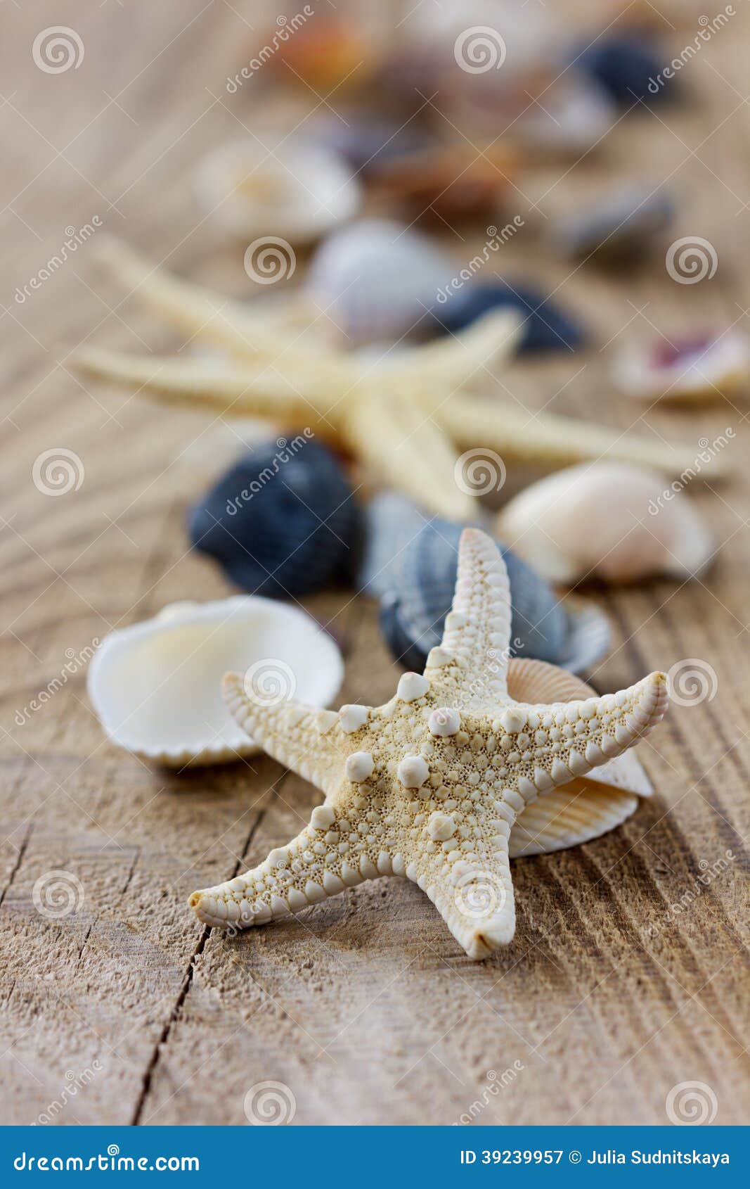 Starfish and seashells stock image. Image of deck, heap - 39239957