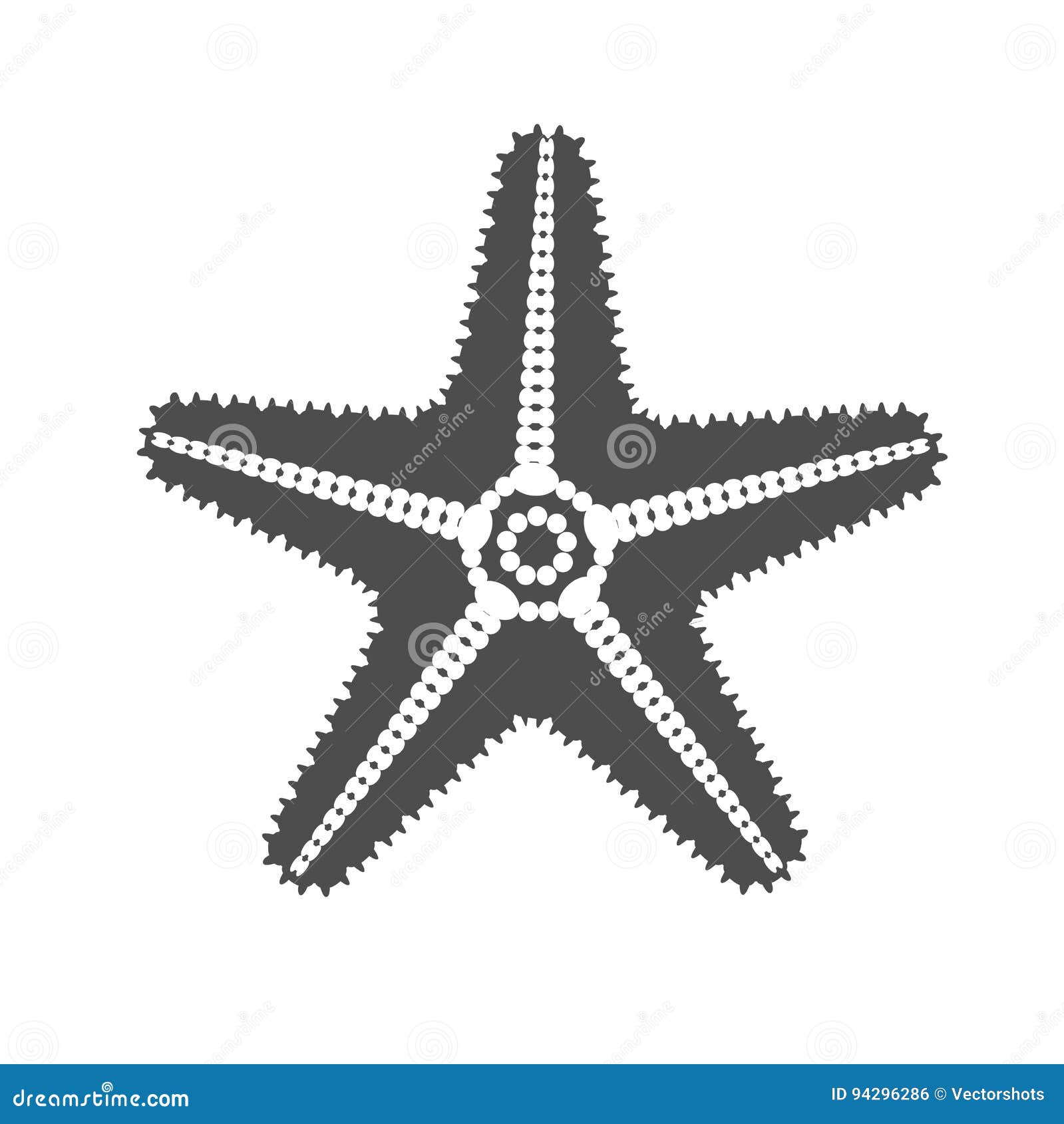 Starfish Shape Vector stock vector. Illustration of invertebrate - 94296286
