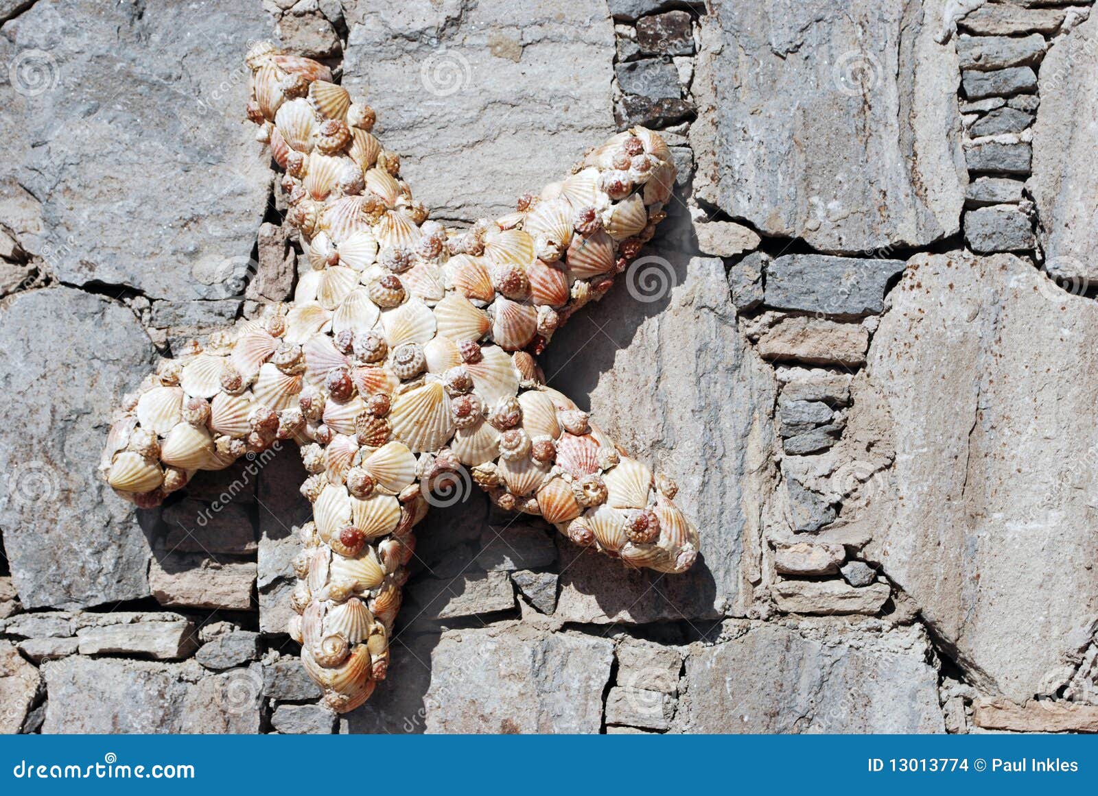 Starfish shell stock photo. Image of photograph, landscape - 13013774