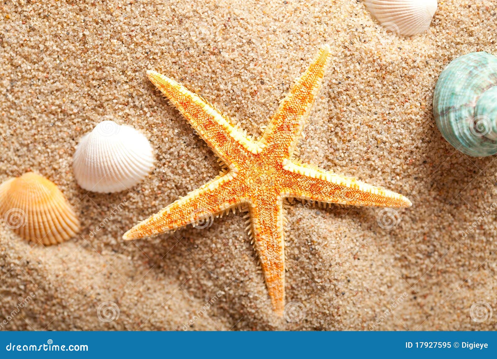 Starfish And Shells Royalty Free Stock Photo - Image: 17927595