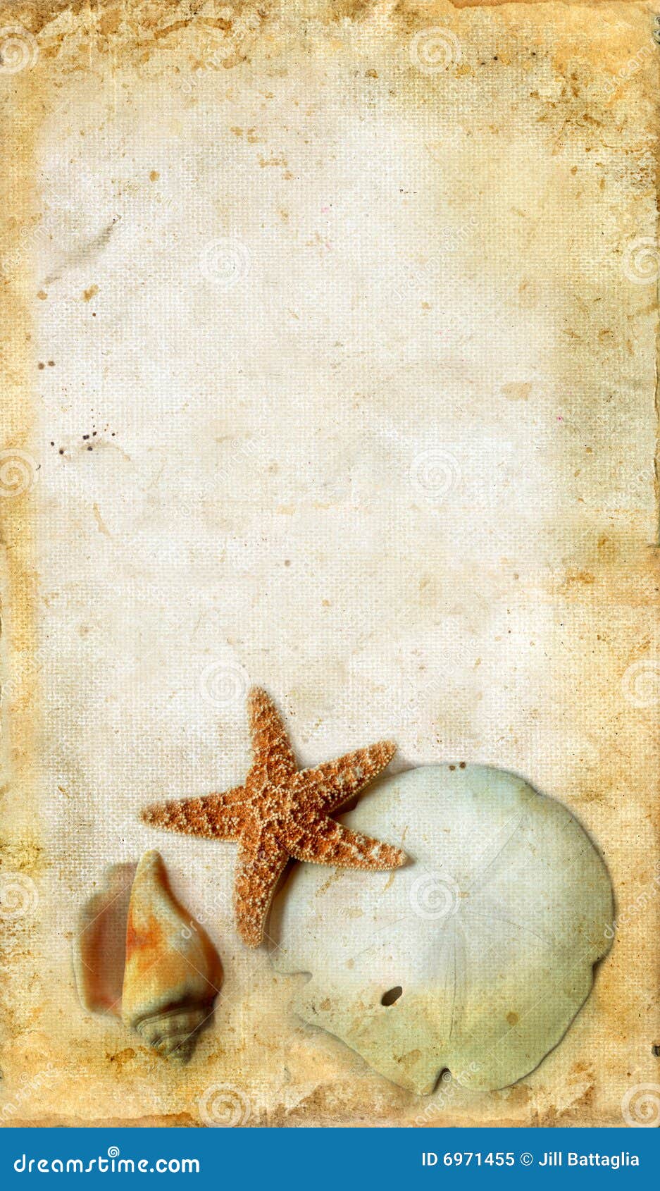 1,631 Dirty Shells Photos - Free & Royalty-Free Stock Photos from ...