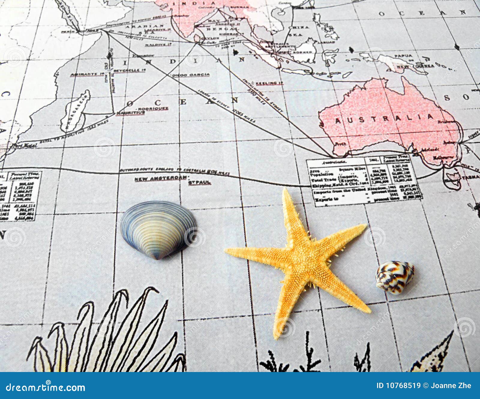 Old Maps With Shells Stock Photo | CartoonDealer.com #47367144