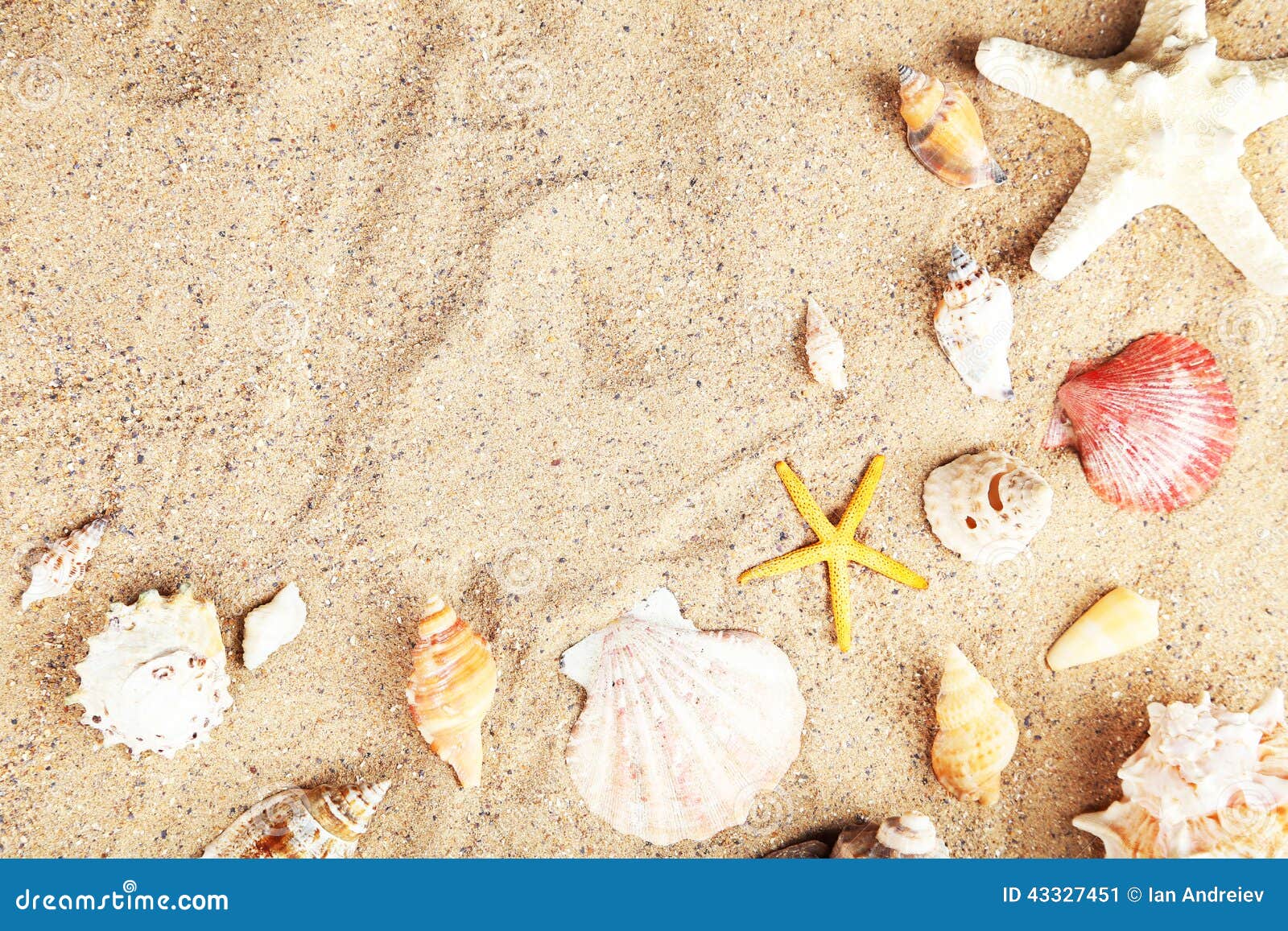 Starfish and Shells on Sand Beach Stock Image - Image of shells ...