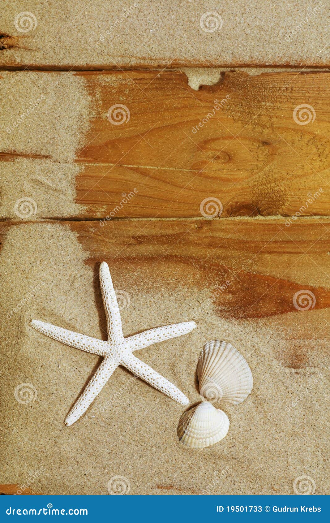 Starfish and Shells on Wood Stock Image - Image of details, starfish ...
