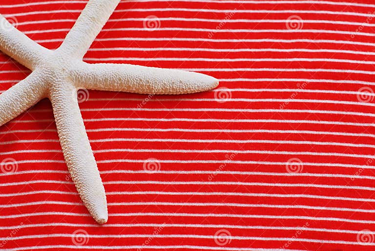 Starfish and Stripes stock image. Image of leisure, vacation - 10519677