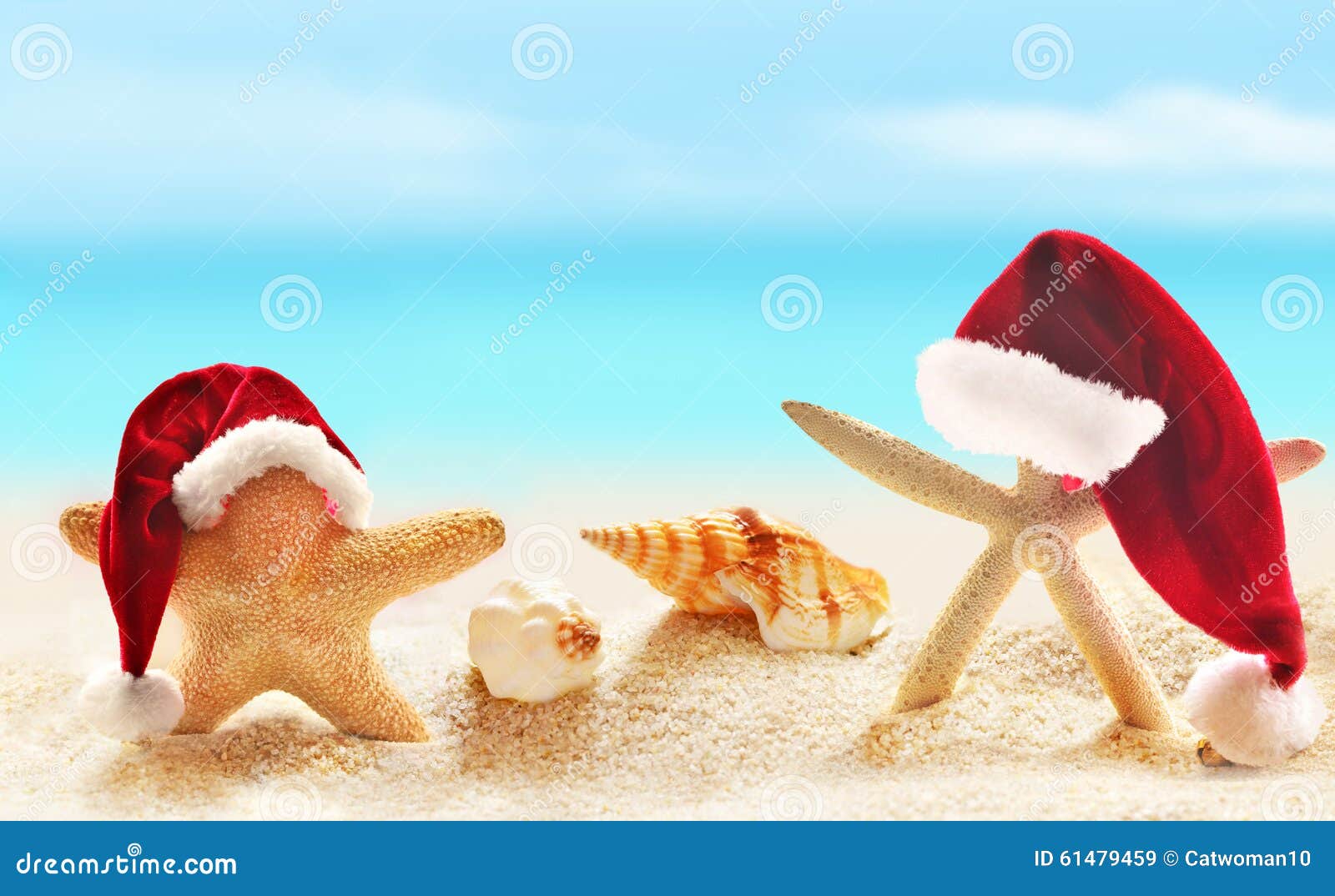 Starfish on Summer Beach and Santa Hat Stock Image - Image of season ...