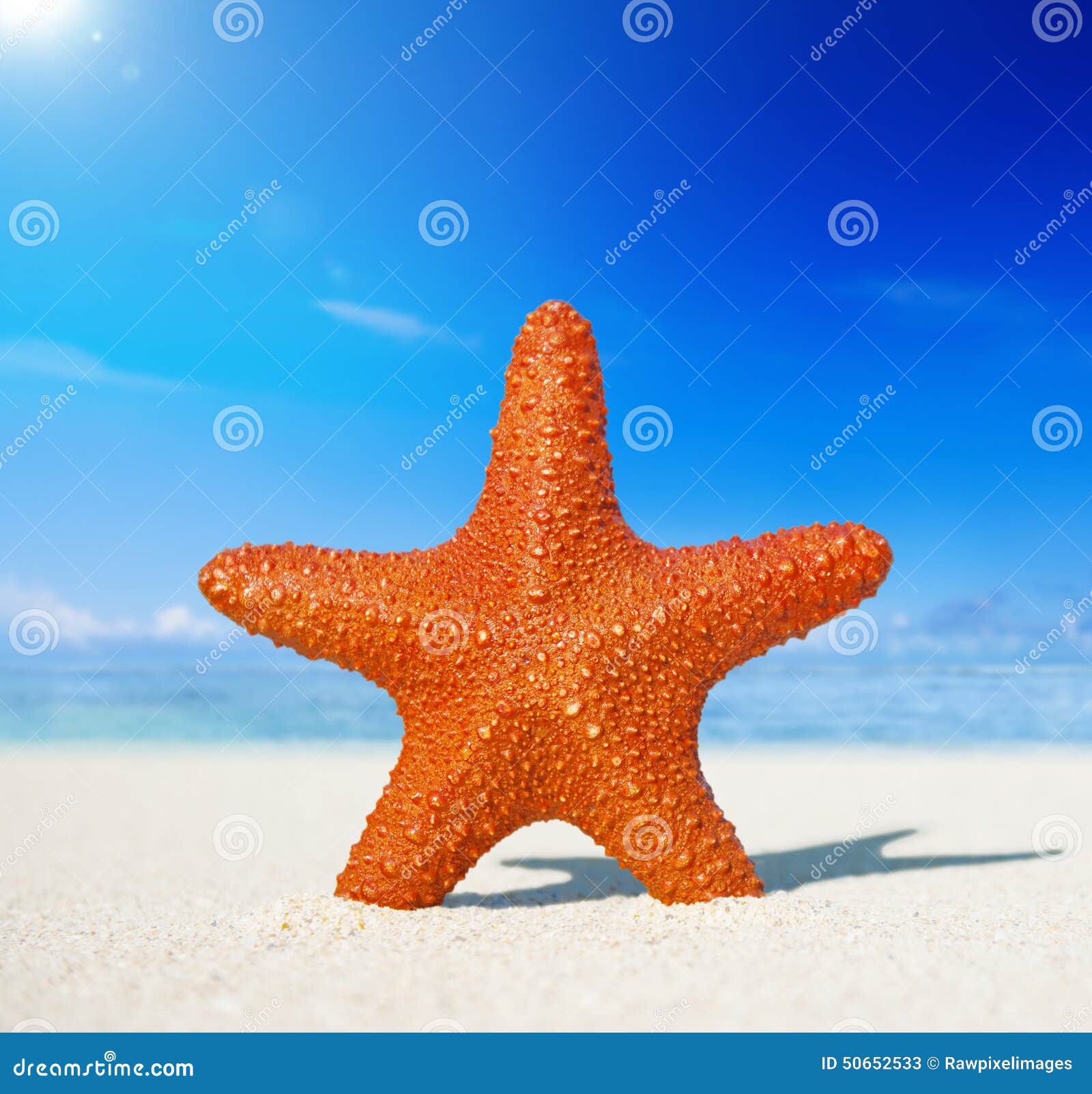 Starfish Tropical Beach Summer Vacation Concept Stock Image - Image of ...