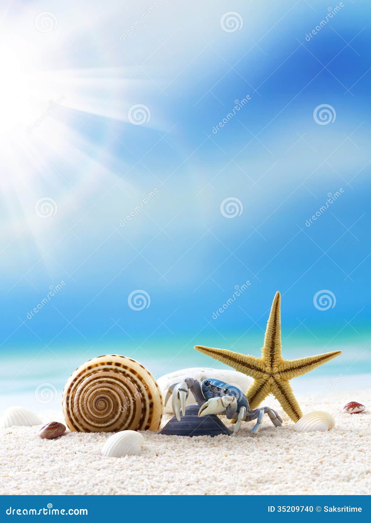 Starfish und Krabbe stockfoto. Bild von himmel, feiertage - 35209740