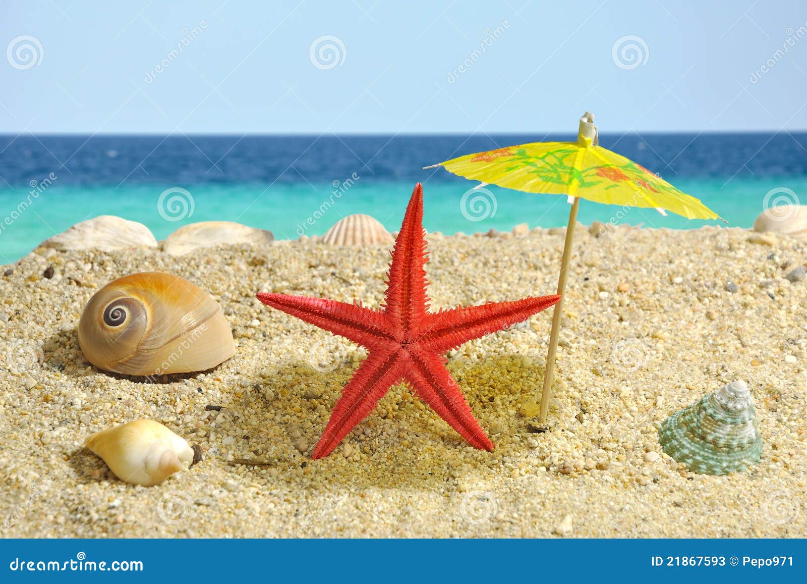 Starfish Under Sun Umbrela Shadow Stock Image - Image of beach, nature ...