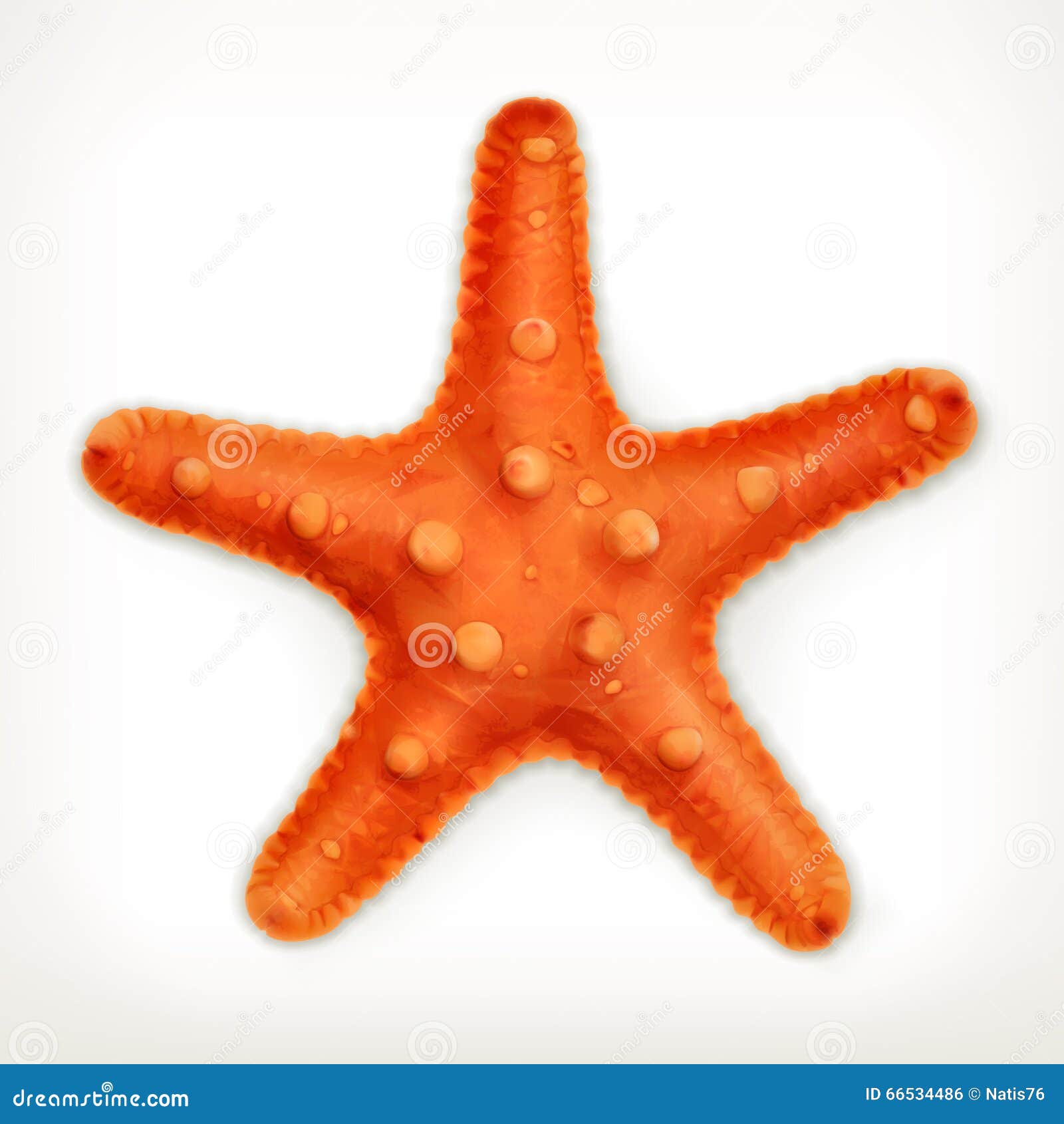 Starfish, vector icon stock vector. Illustration of aquarium - 66534486