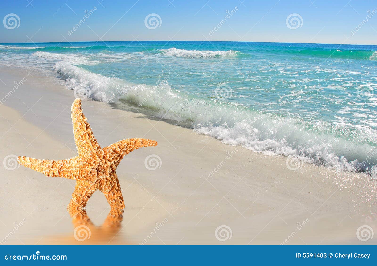 Starfish by Waves stock image. Image of leisure, gulf - 5591403