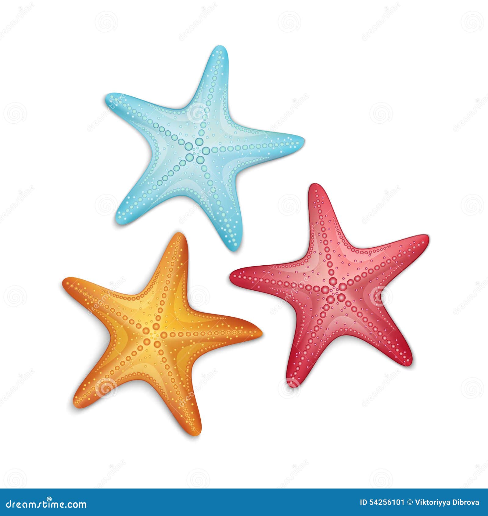Starfish Stock Illustrations – 79,803 Starfish Stock Illustrations ...