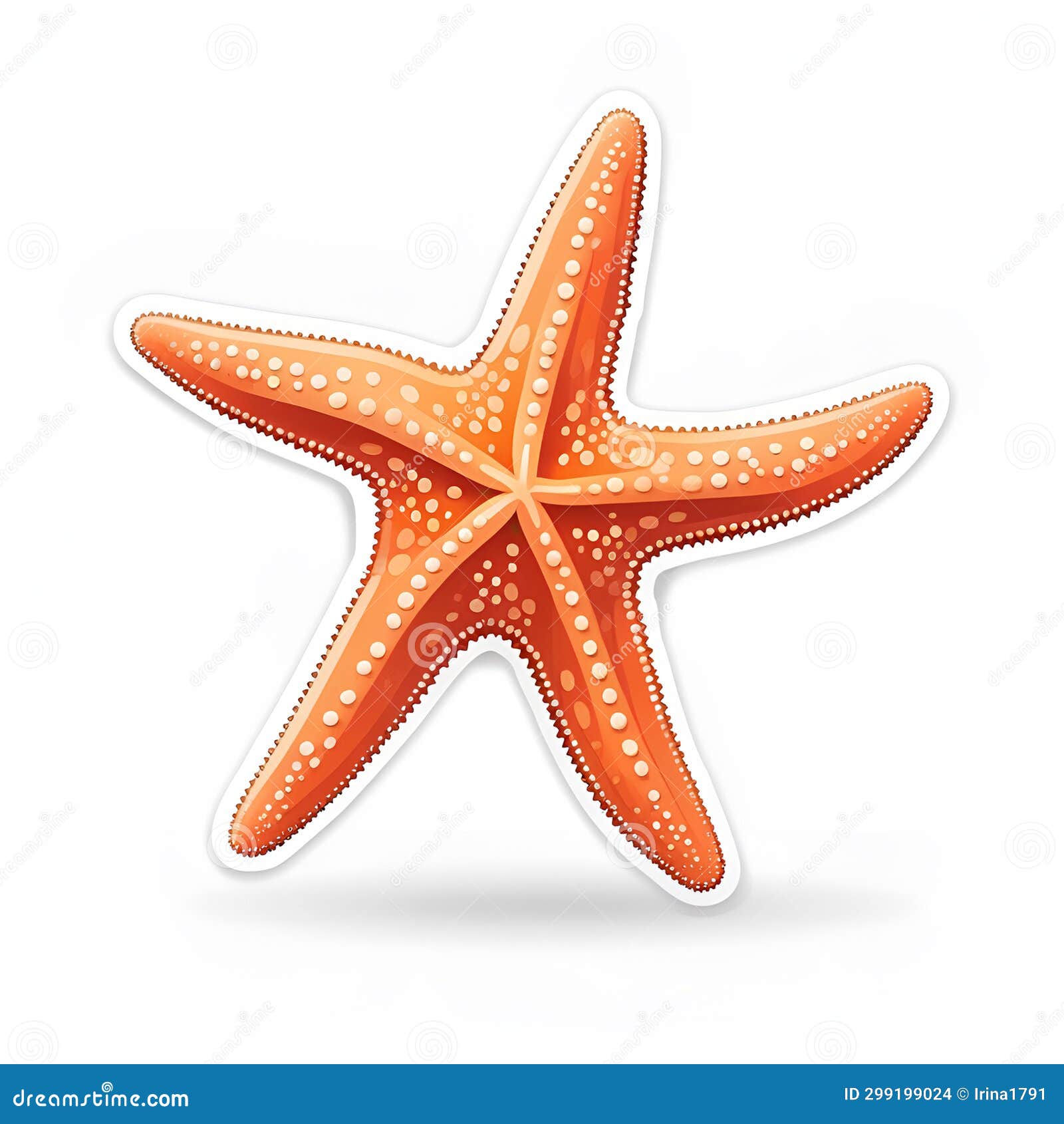 Starfish on a White Background Stock Illustration - Illustration of ...