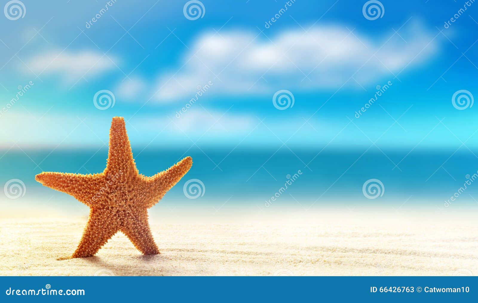 Starfish on White Sand Beach with Ocean Stock Image - Image of seashore ...