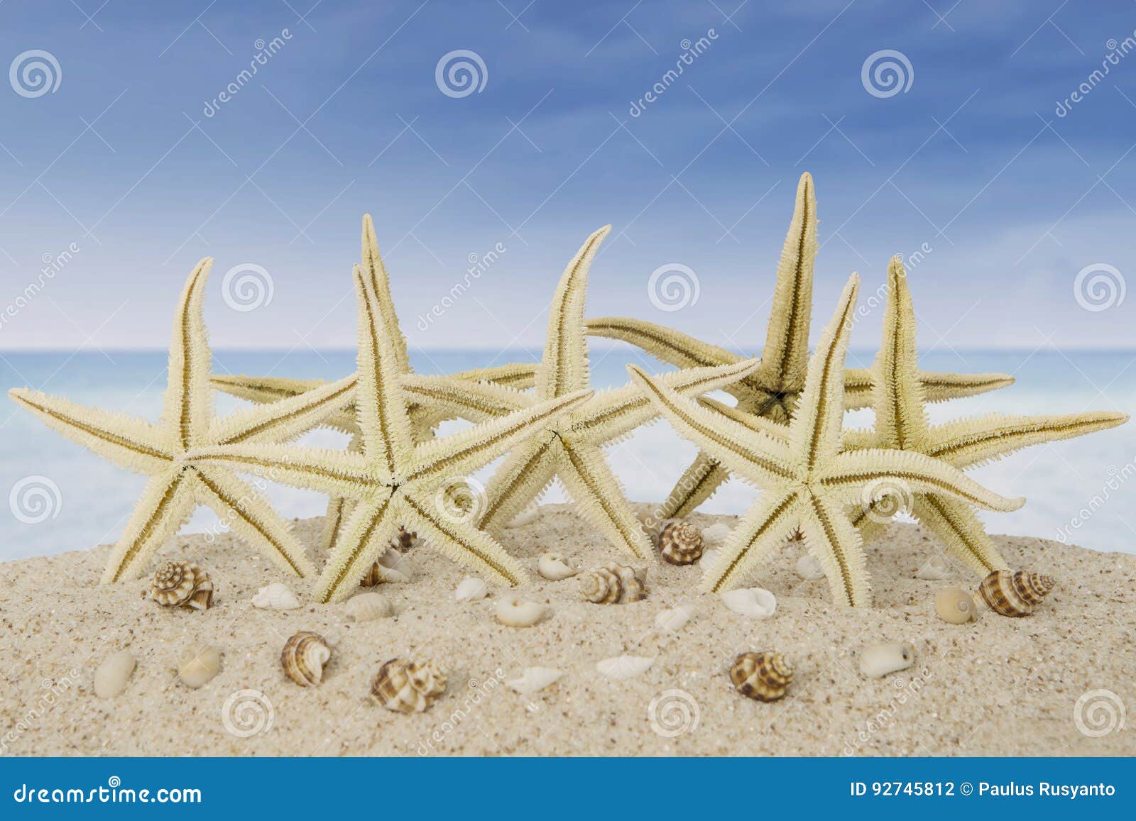 Starfishes and Seashells on Beach Stock Photo - Image of seashore ...