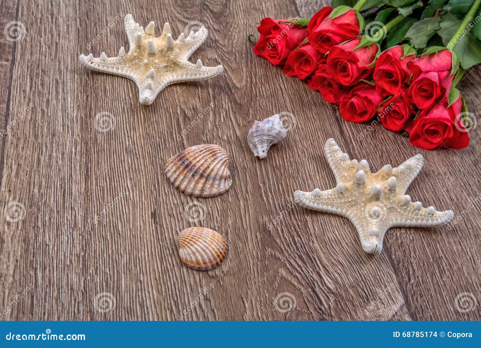 Vintage White Background Roses Sea Shells Stock Photos - Free & Royalty ...