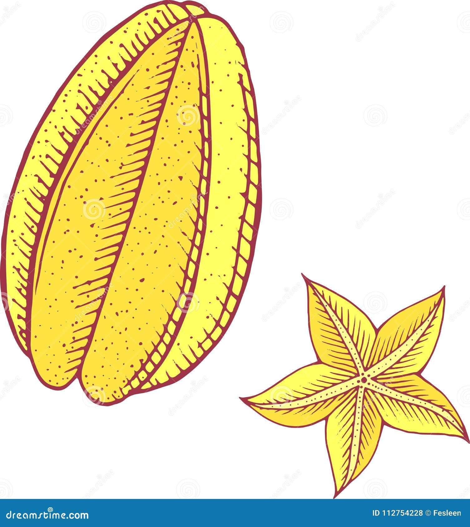 Starfruit Color Isolated Art.Tropical and Exotic Fruit Stock Vector ...