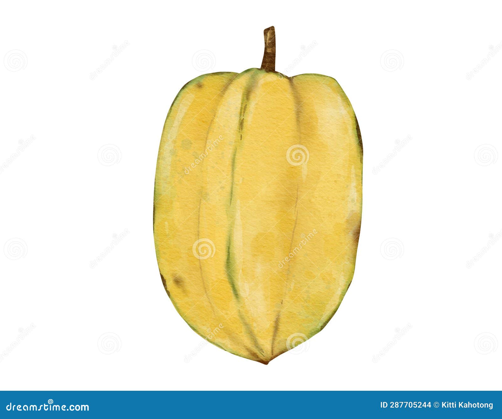 Starfruit Fruit Watercolor Illustration Isolated Element Stock ...