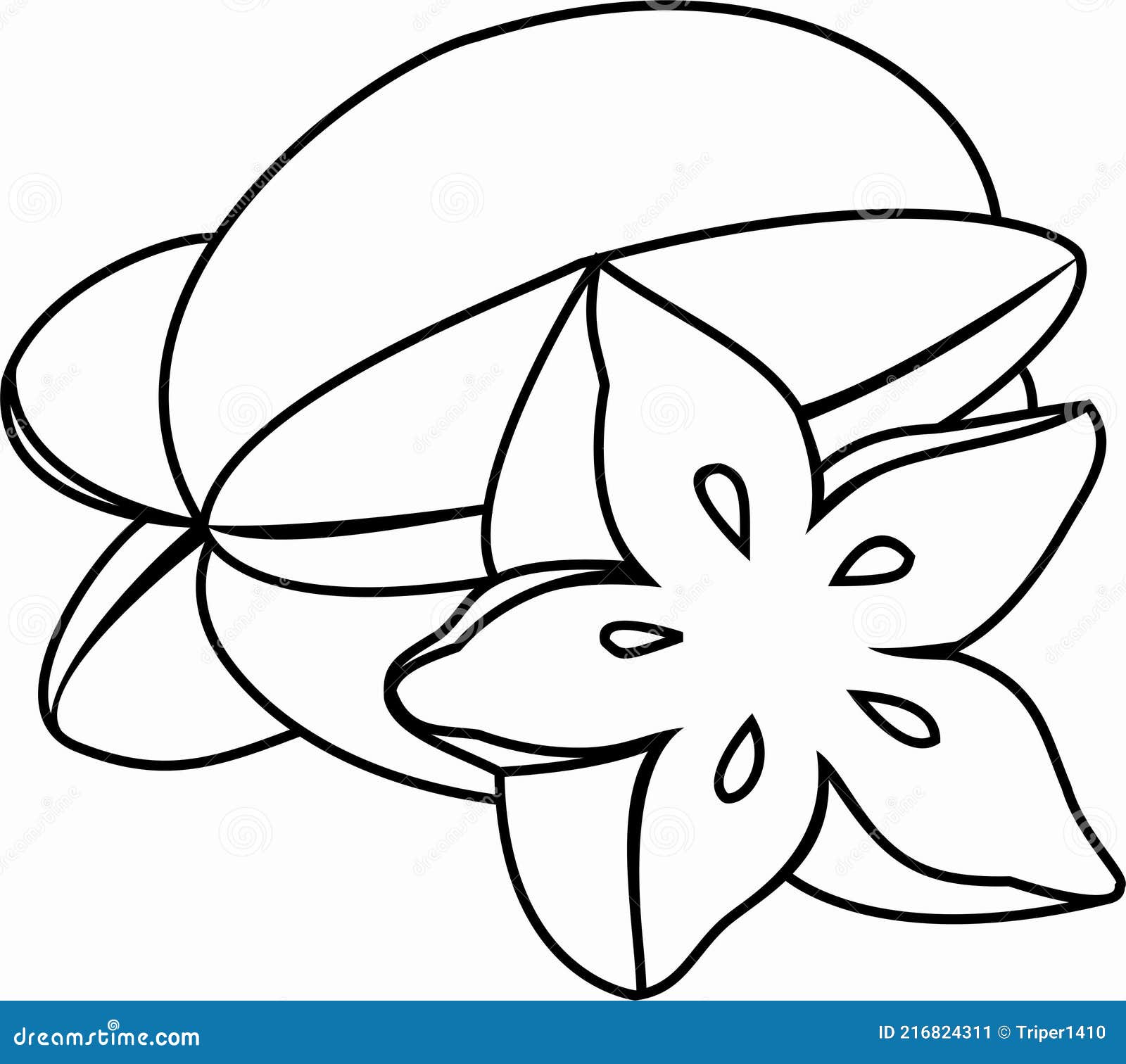 Starfruit Icon Vector Illustration Black White Stock Image ...