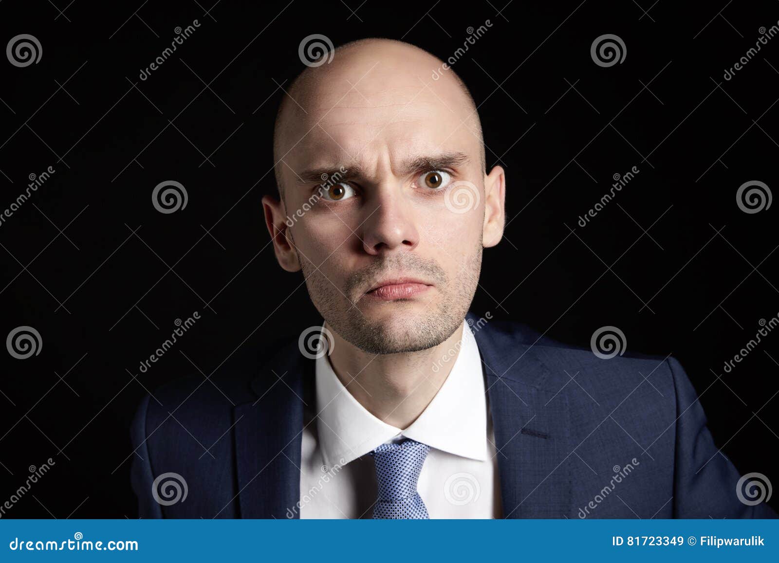 Staring at Camera stock image. Image of expression, high - 81723349