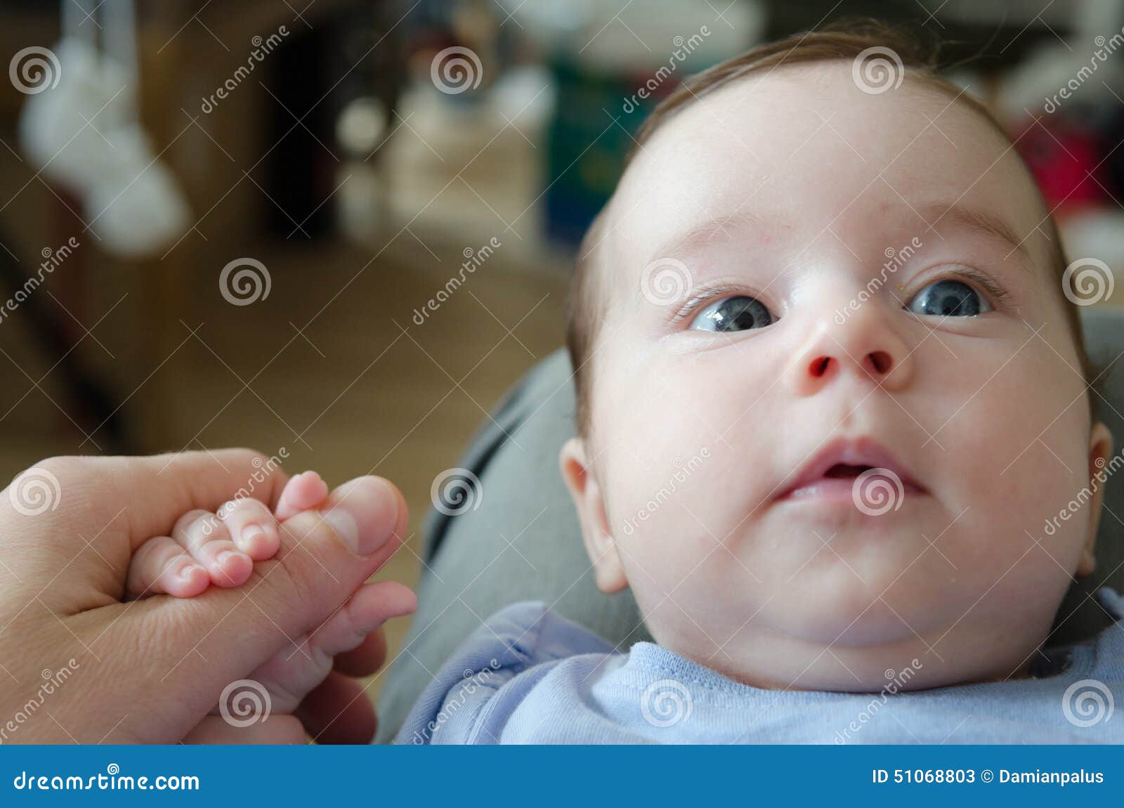 Staring stock image. Image of animals, care, love, lovely - 51068803