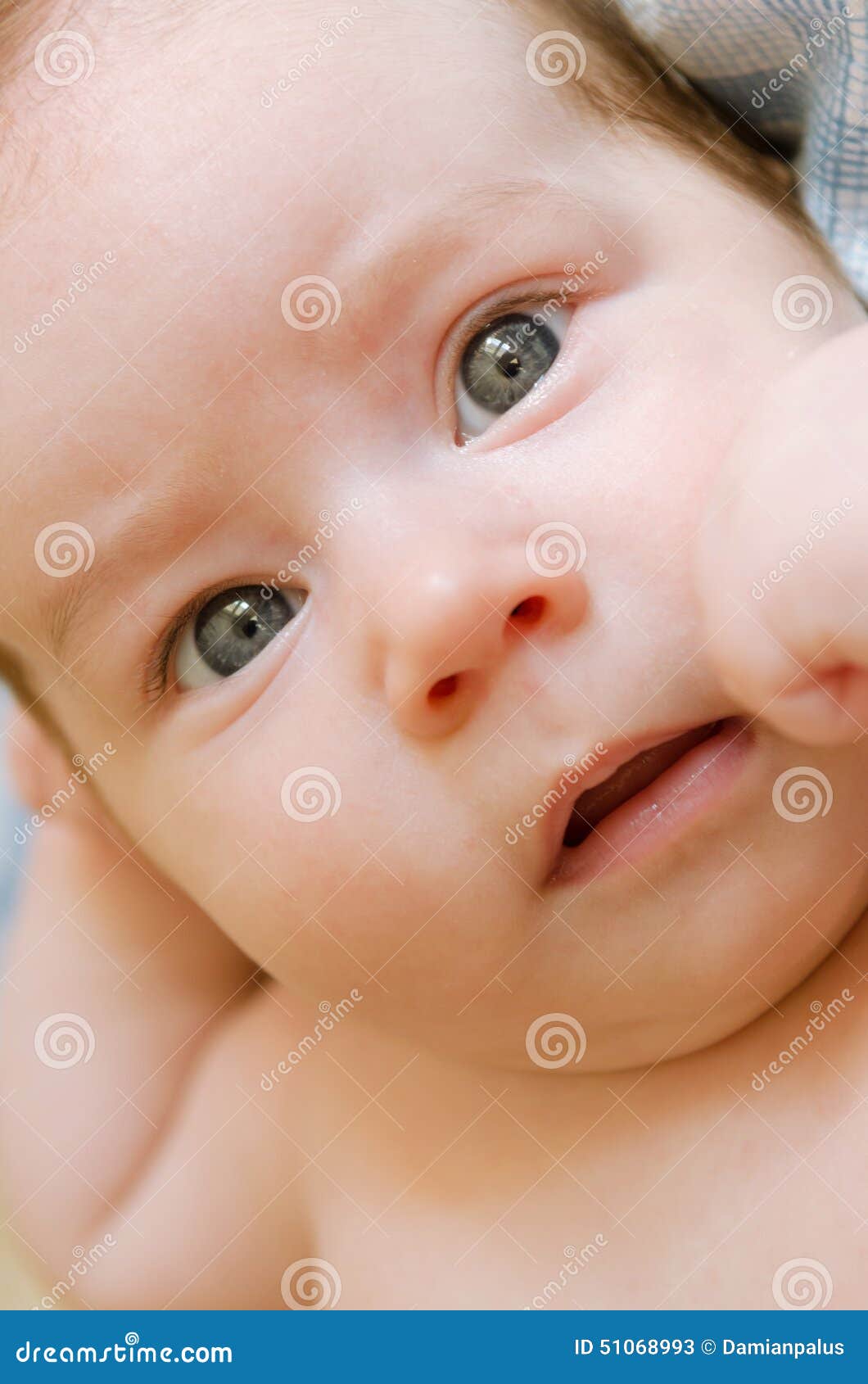 Staring stock image. Image of adore, looking, mouth, caucasian - 51068993