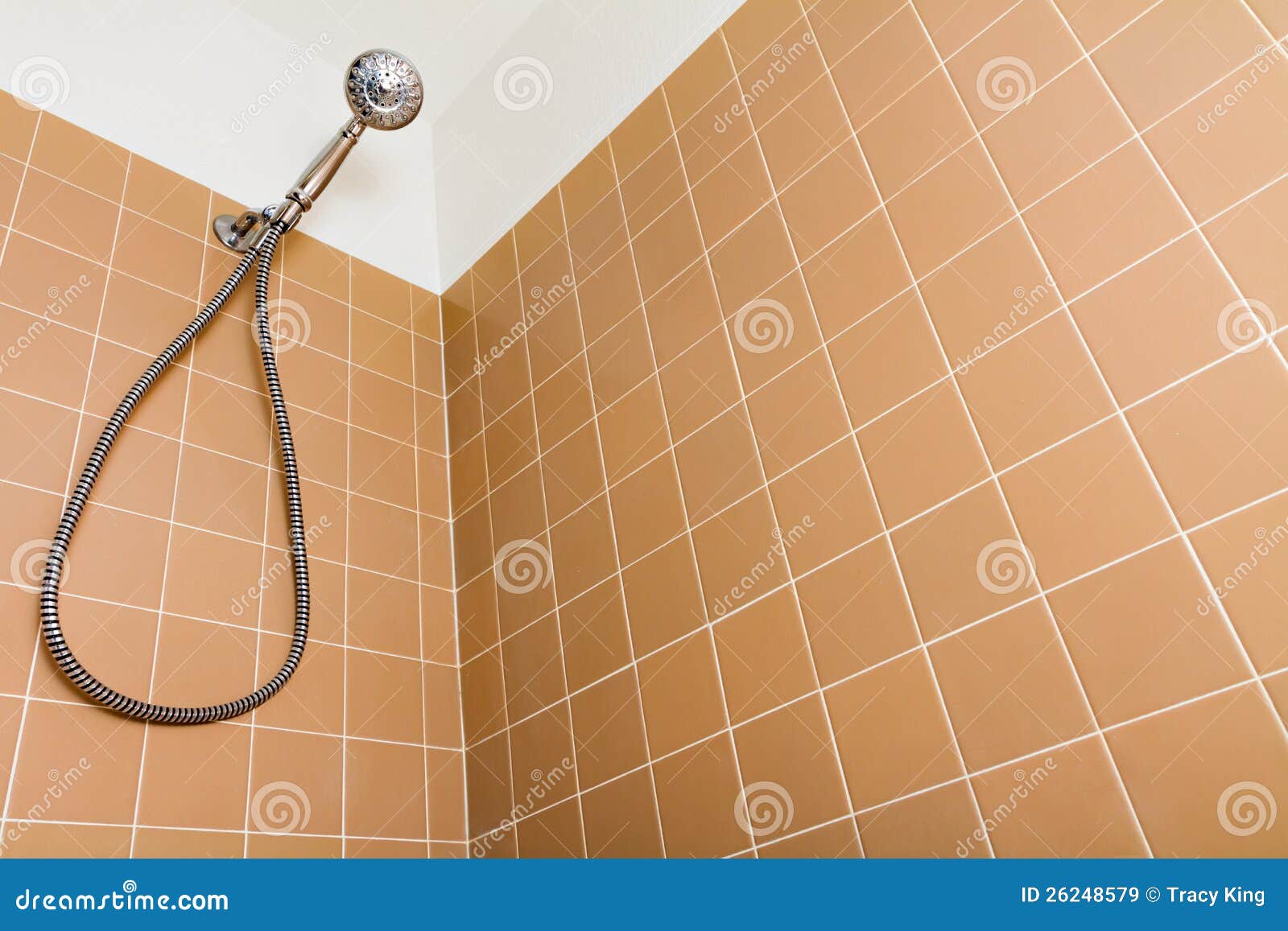 Staring Up To the Shower Head Stock Image - Image of hygenic ...