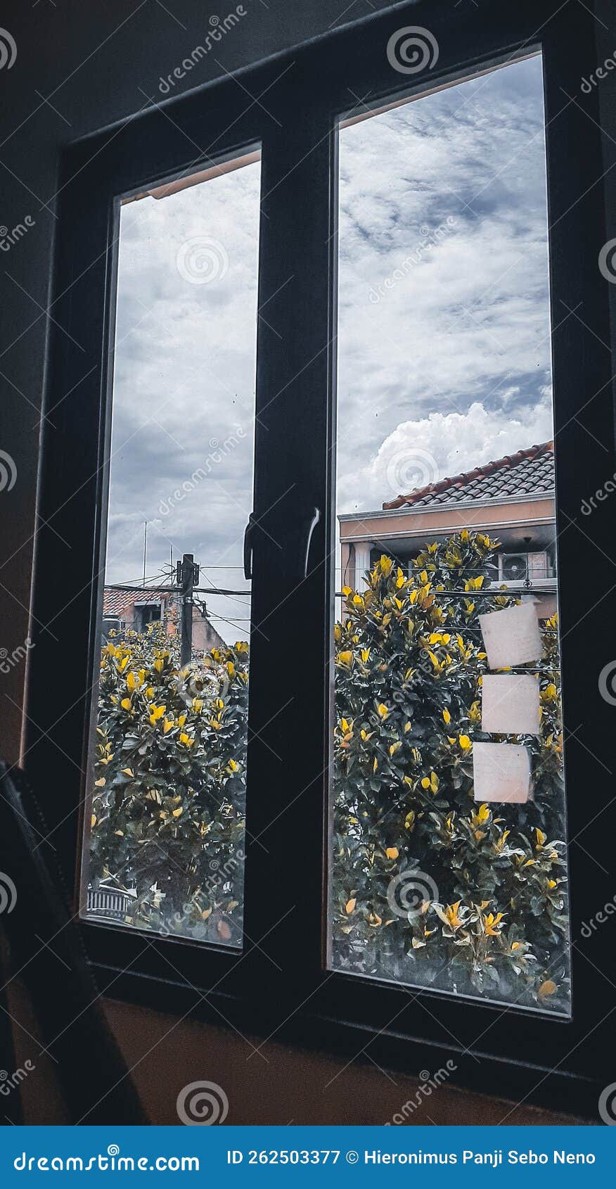 Staring at the window stock image. Image of evening - 262503377