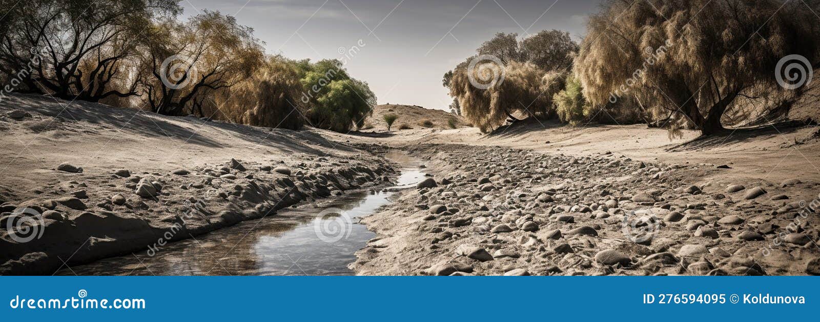 A Stark And Evocative Image Of A Dry Riverbed, Showing The Devastating ...